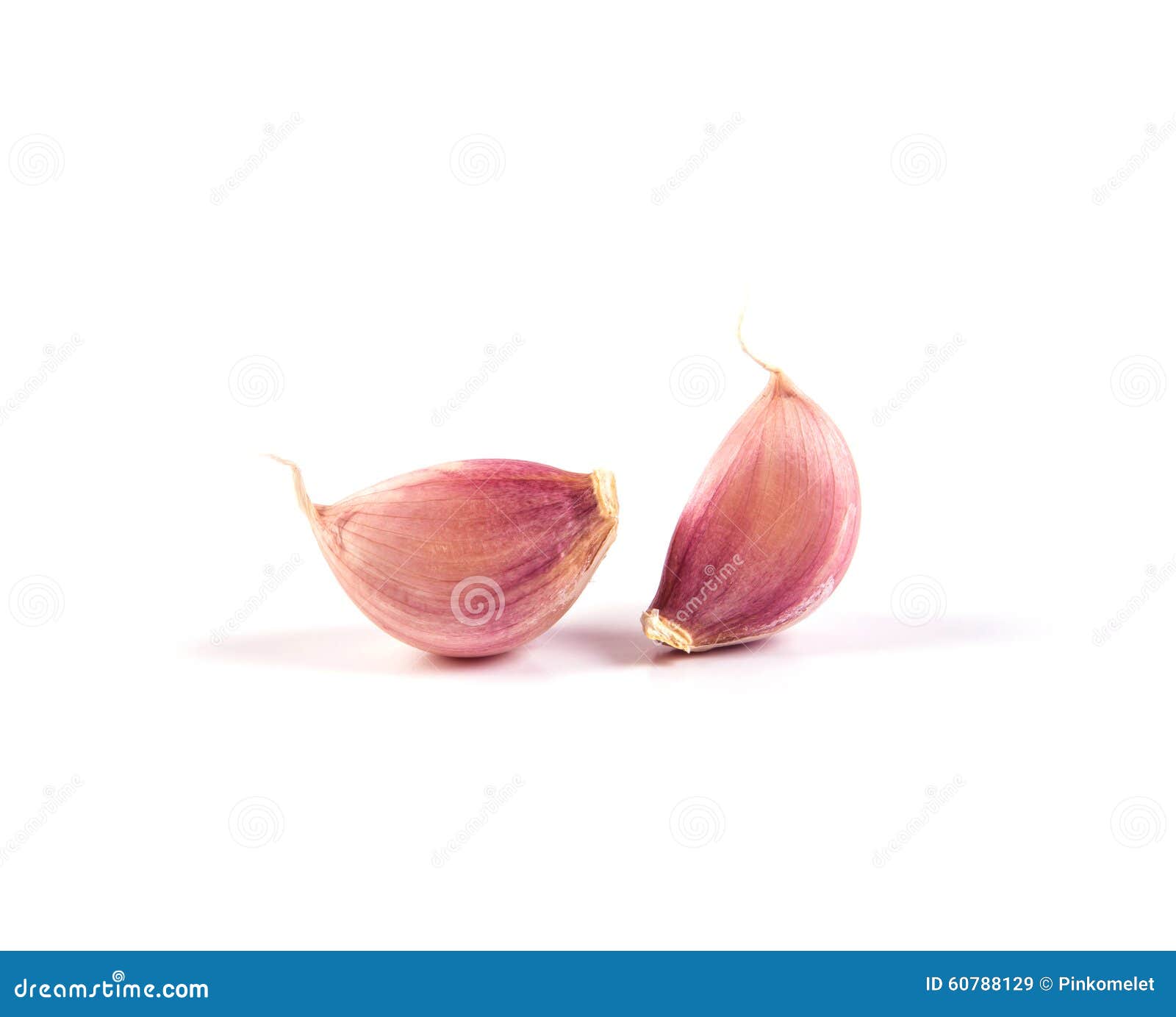 Garlic on white background stock image. Image of bulb - 60788129
