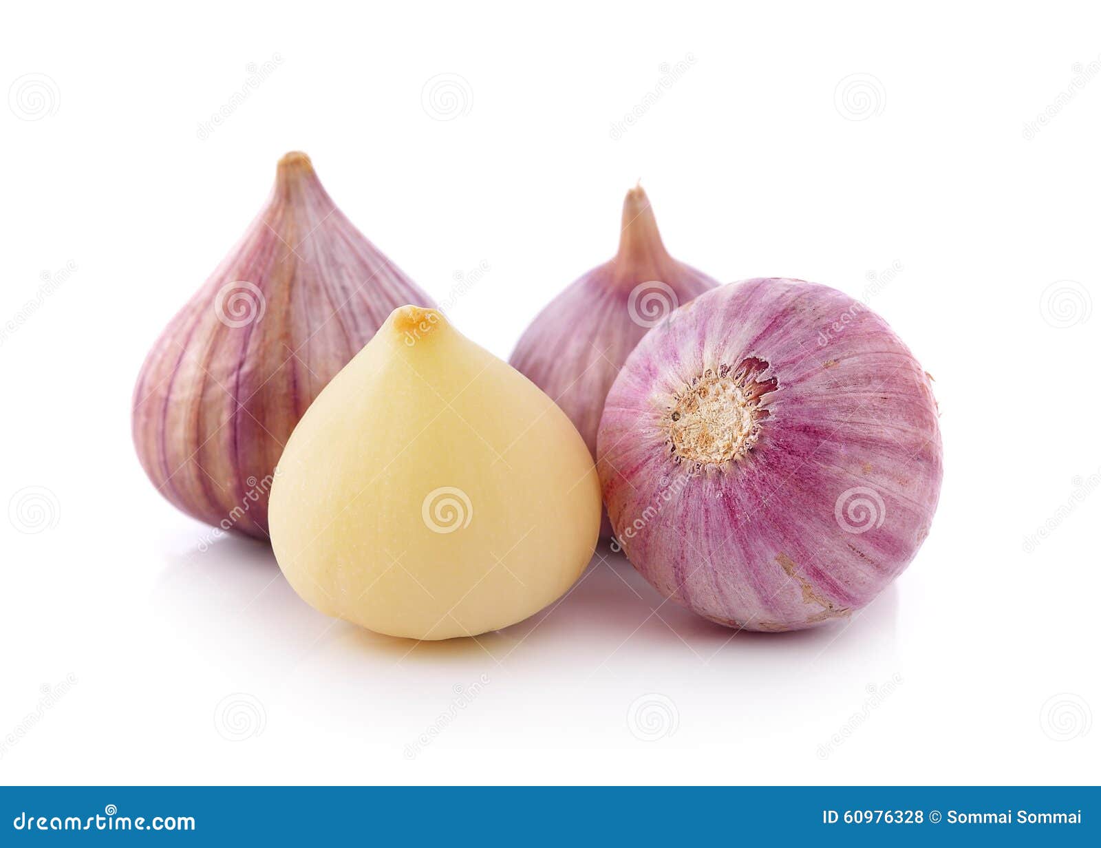 Garlic on white background stock photo. Image of kitchen - 60976328