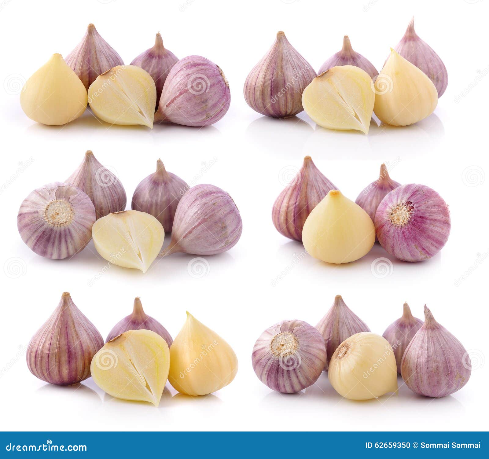 Garlic on white background stock photo. Image of garlic - 62659350