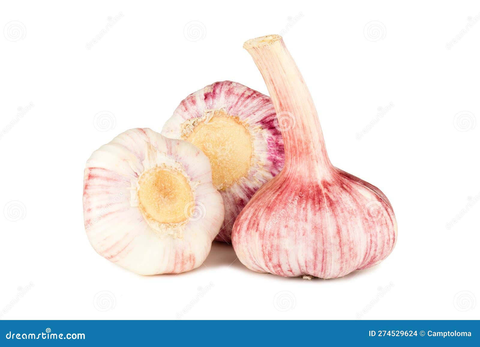 Garlic white background stock photo. Image of gourmet - 274529624