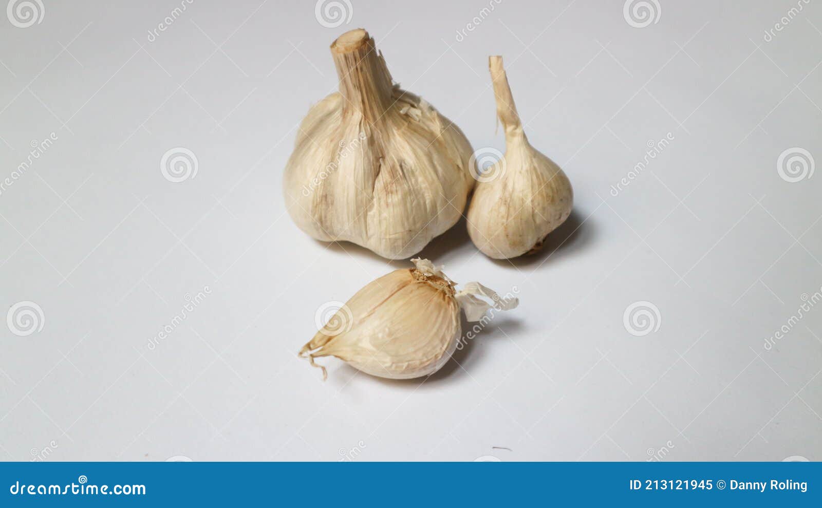 Garlic on the White Background Stock Image - Image of leaf, flower ...