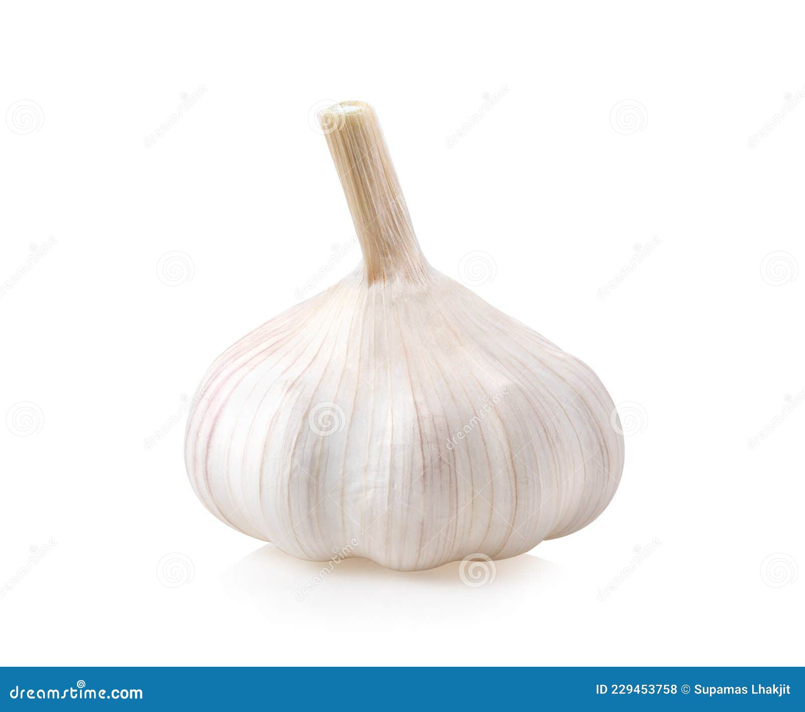 Garlic on white background stock photo. Image of vegetarian - 229453758