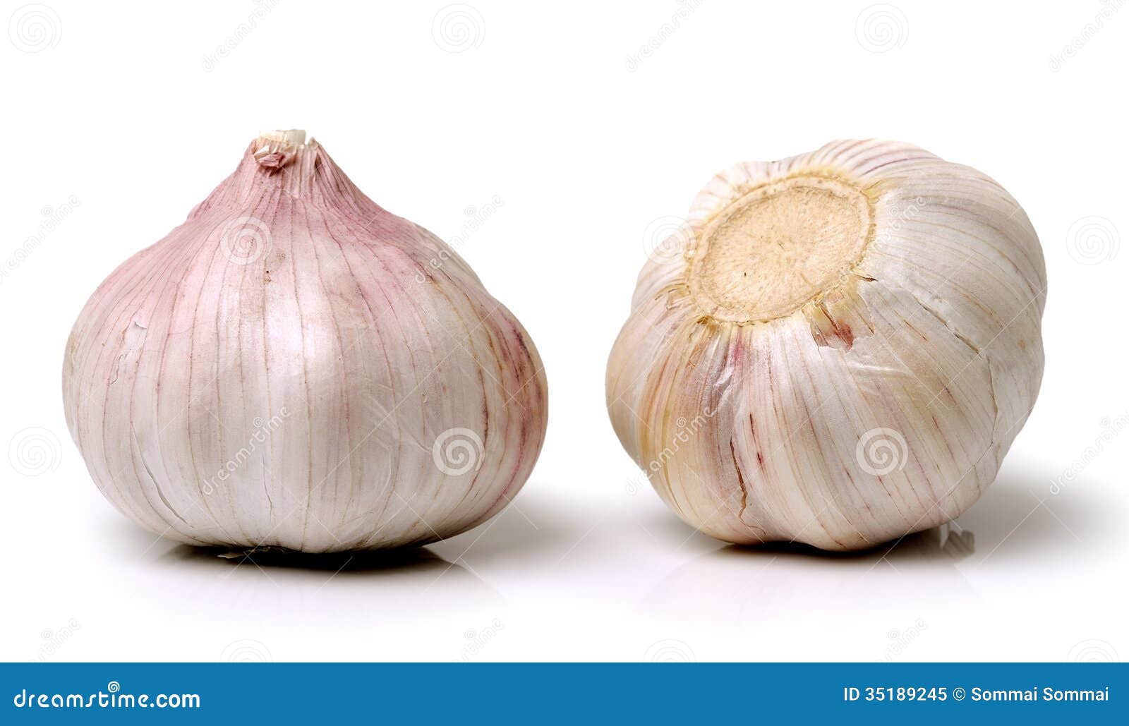Garlic on white background stock image. Image of isolated - 35189245