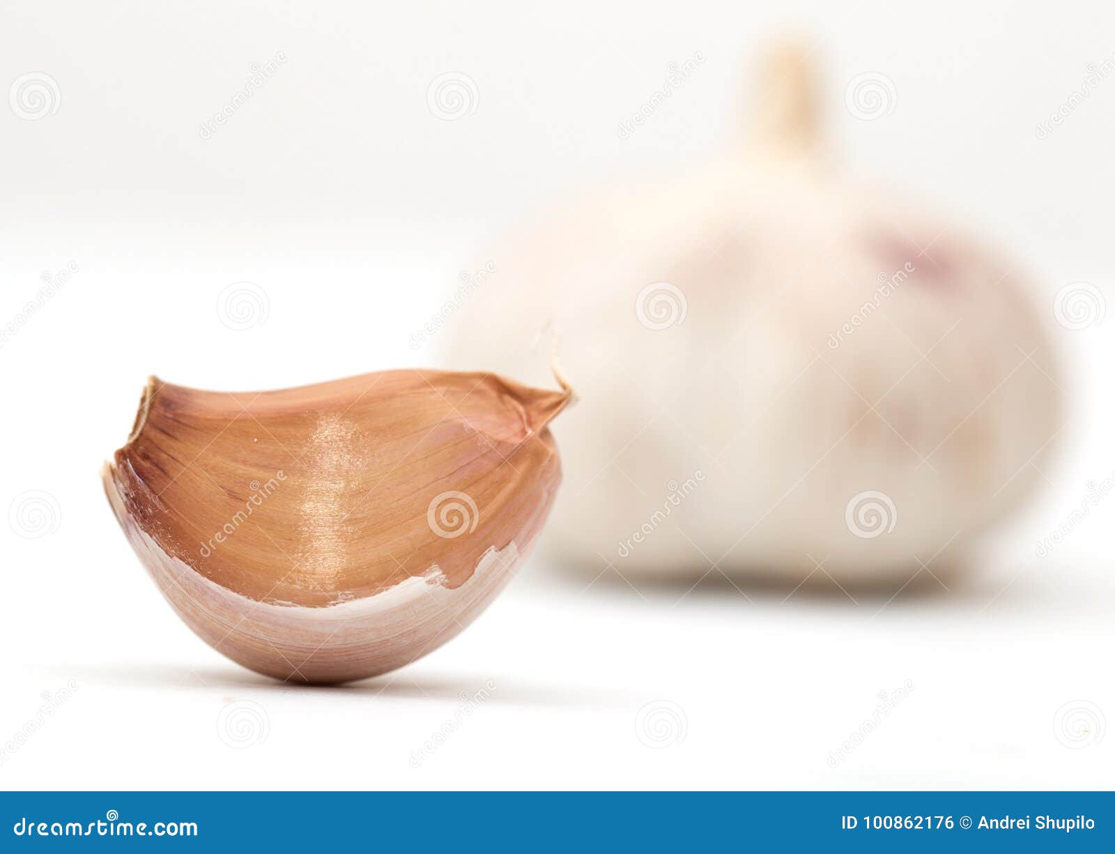 Garlic on a White Background Stock Photo - Image of flavor, close ...