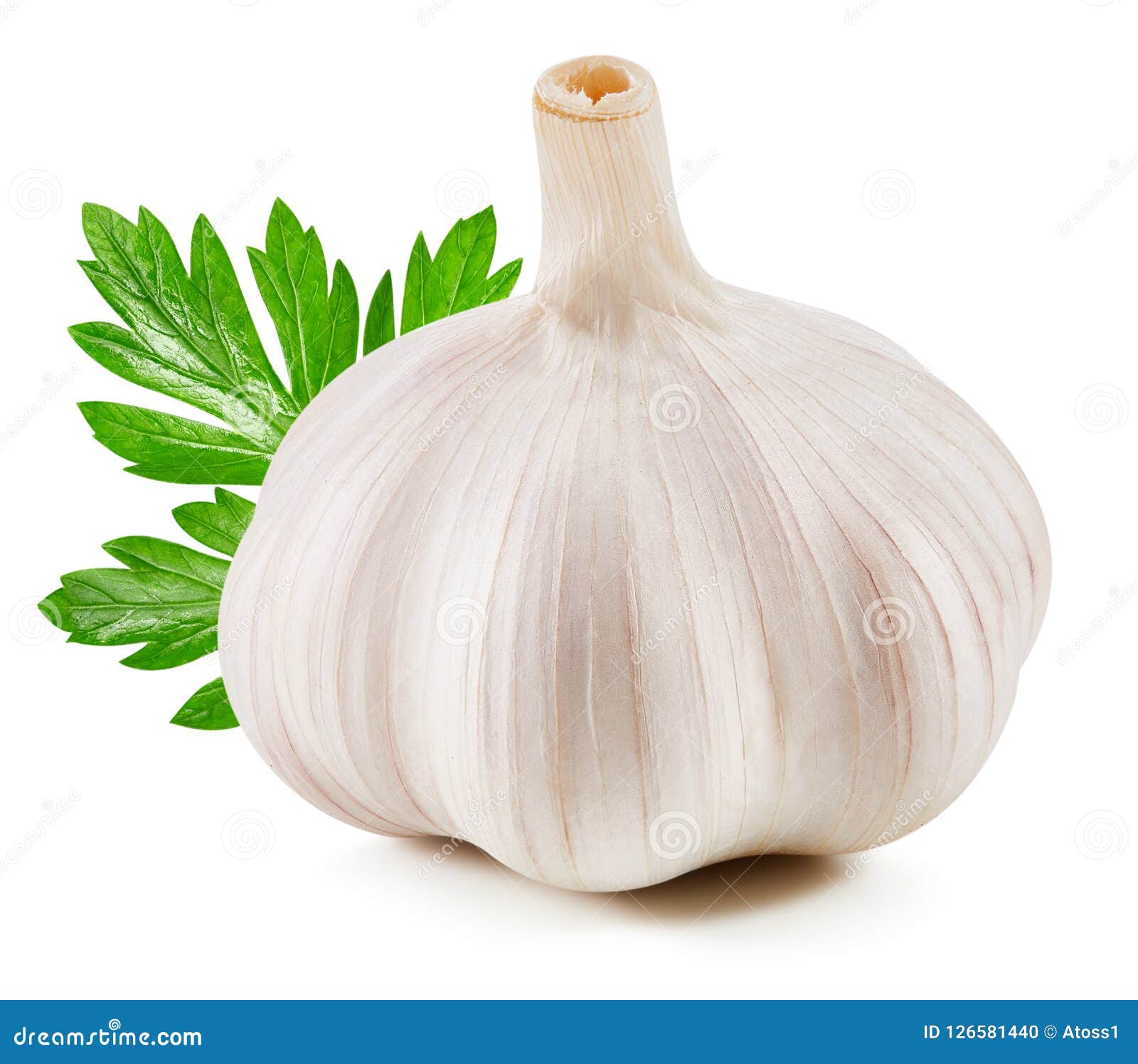 Garlic on white stock photo. Image of kitchen, object - 126581440