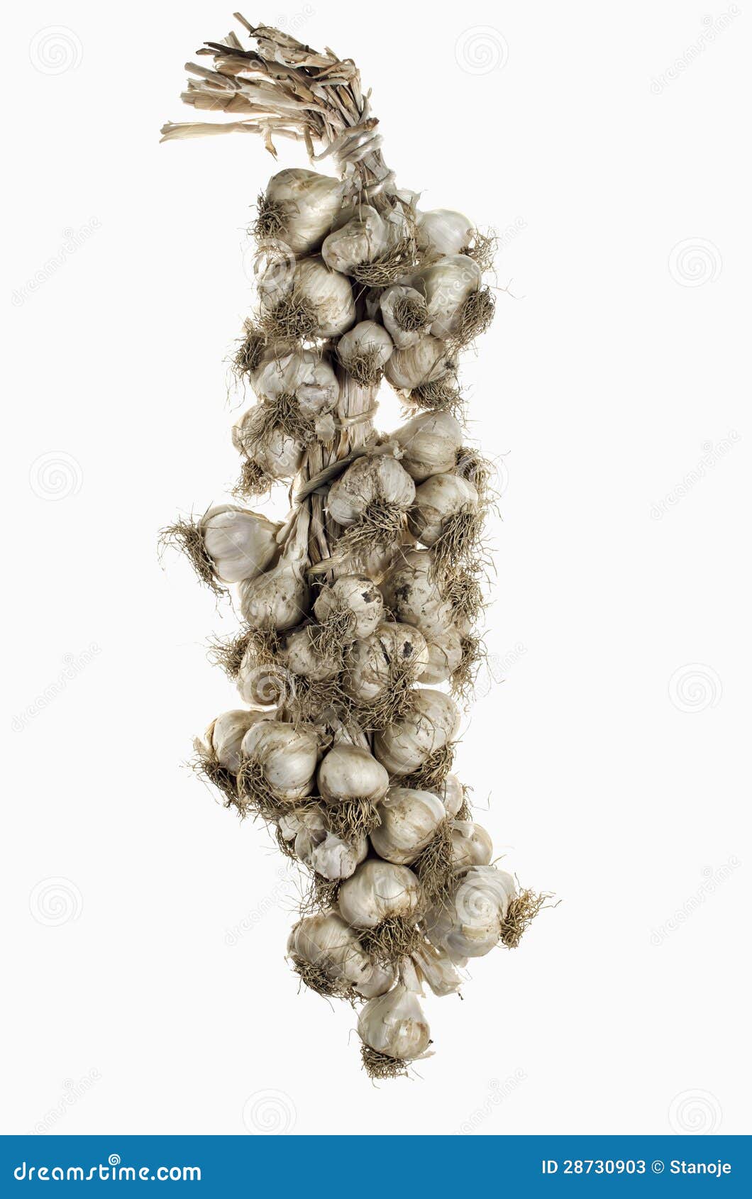 Garlic wreath stock image. Image of organic, smell, nature - 28730903