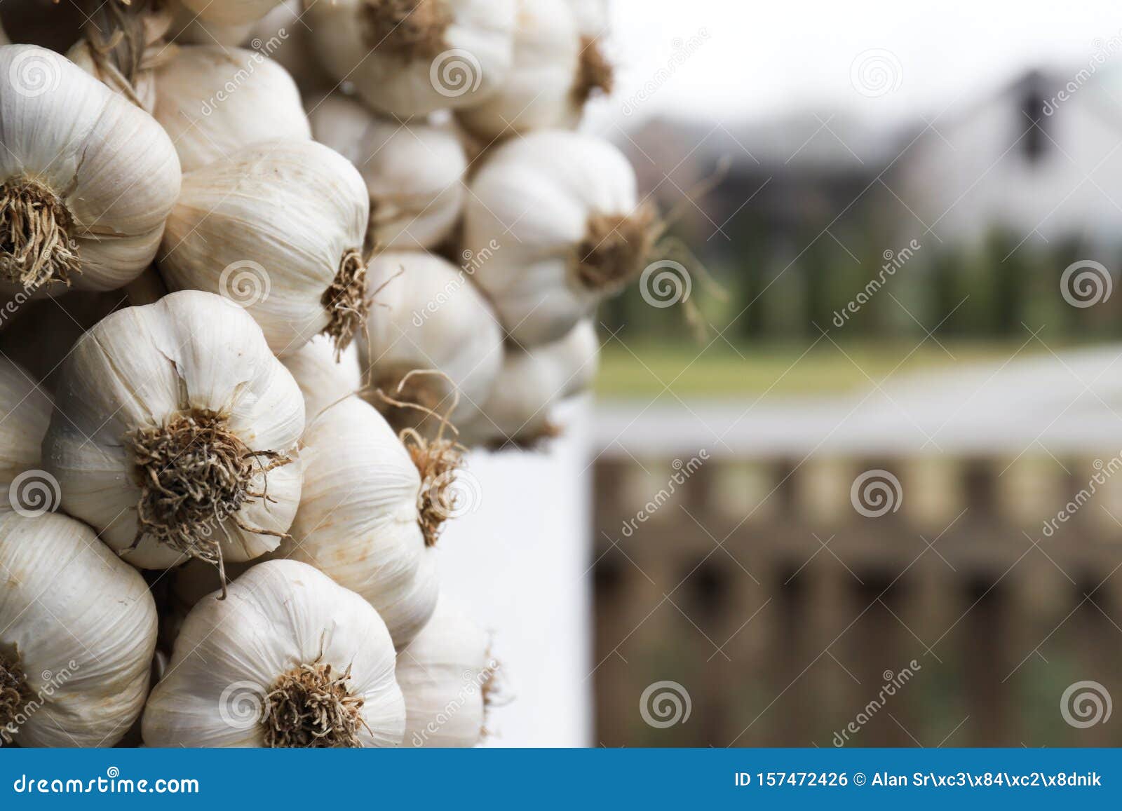 Garlic wreath stock photo. Image of health, garden, vegetables - 157472426