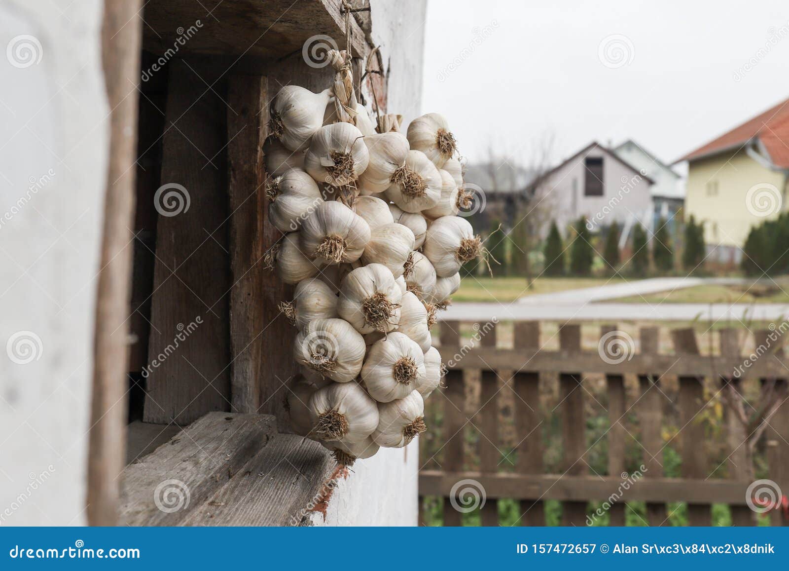 Garlic wreath stock image. Image of wall, hanging, garlic - 157472657
