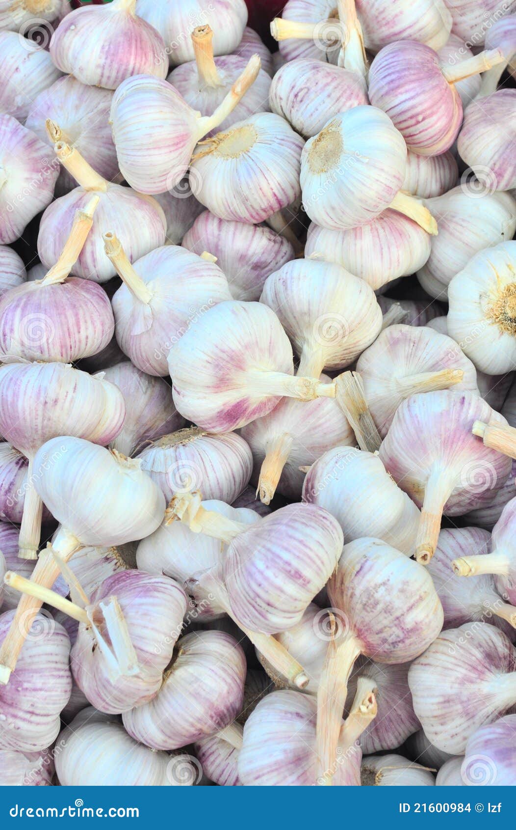 Garlics stock photo. Image of diet, stack, garlics, ingredients - 21600984