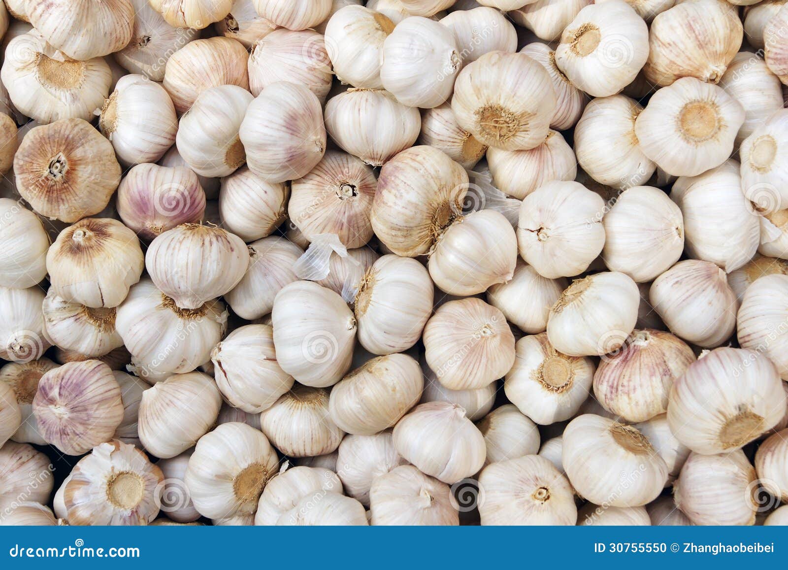 Garlics stock photo. Image of cloves, healthy, head, food - 30755550