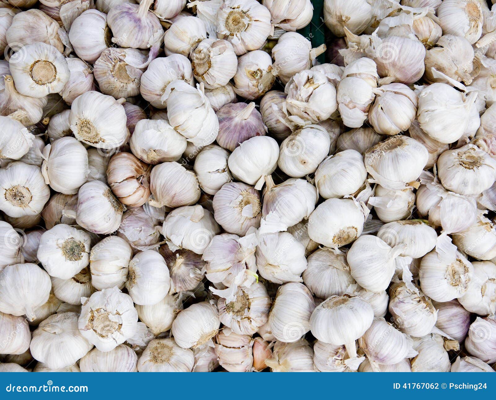 Garlics stock photo. Image of cooking, supermarket, spicy - 41767062