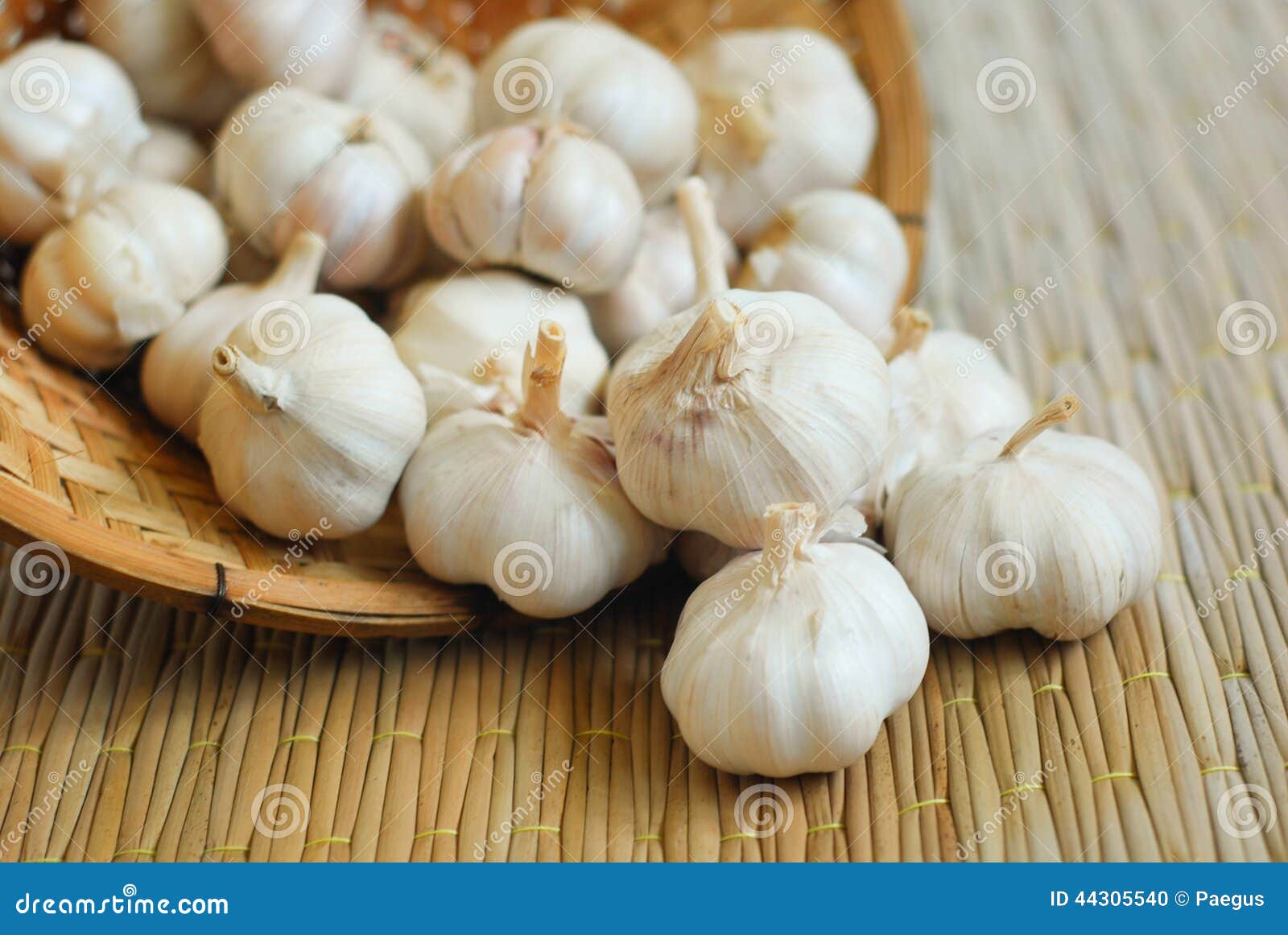 Garlics on pallet stock photo. Image of diet, gourmet - 44305540