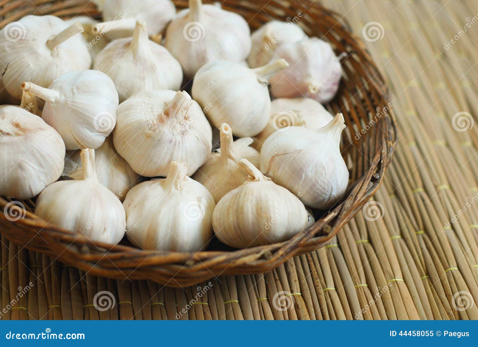 Garlics on pallet stock image. Image of foodstuff, mesh - 44458055