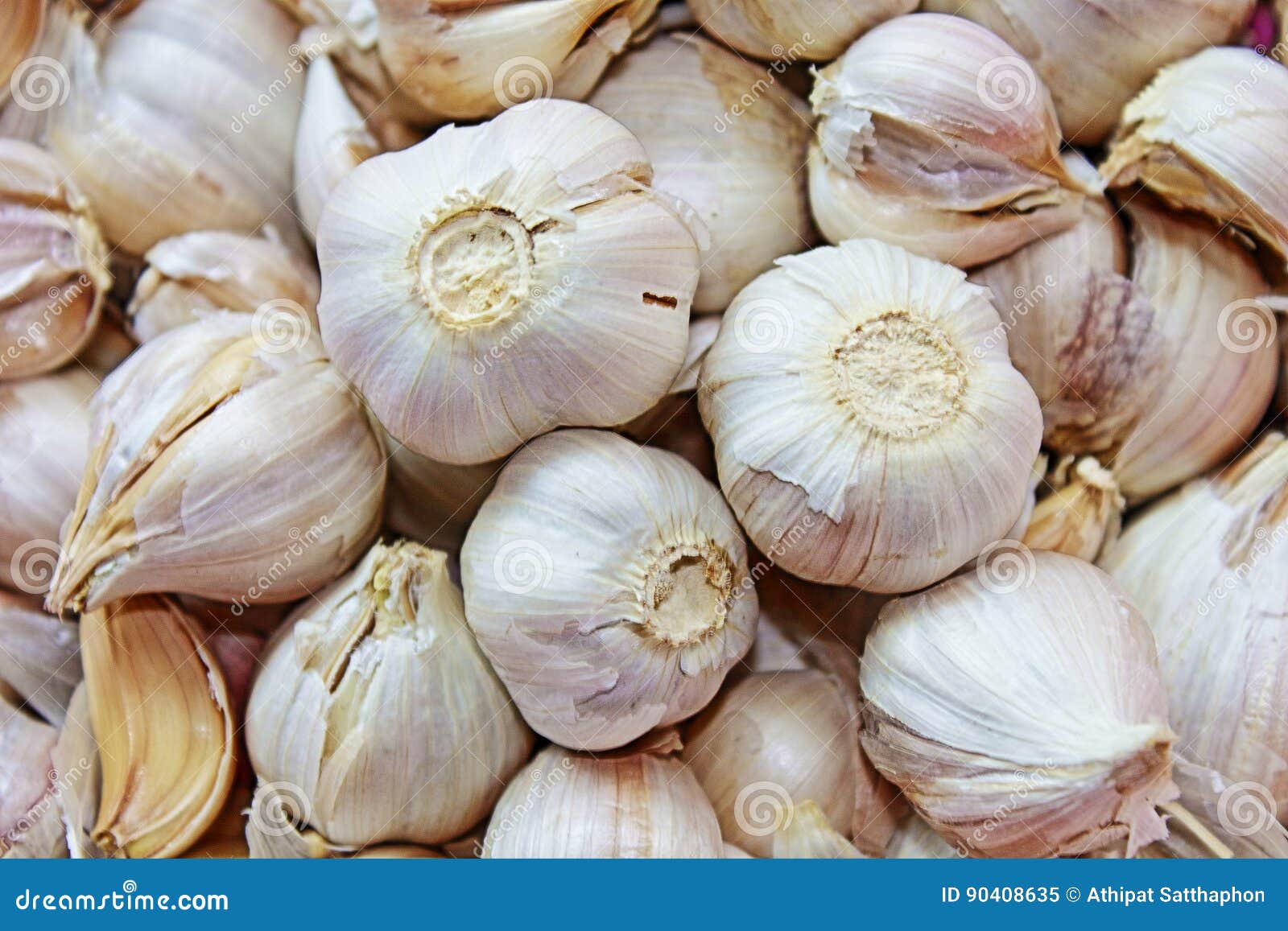Garlics stock image. Image of backgroud, spice, smelly - 90408635