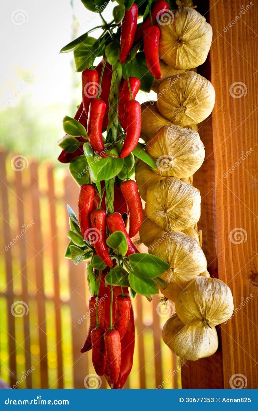 Garlin and chilli rope stock image. Image of ingredient - 30677353