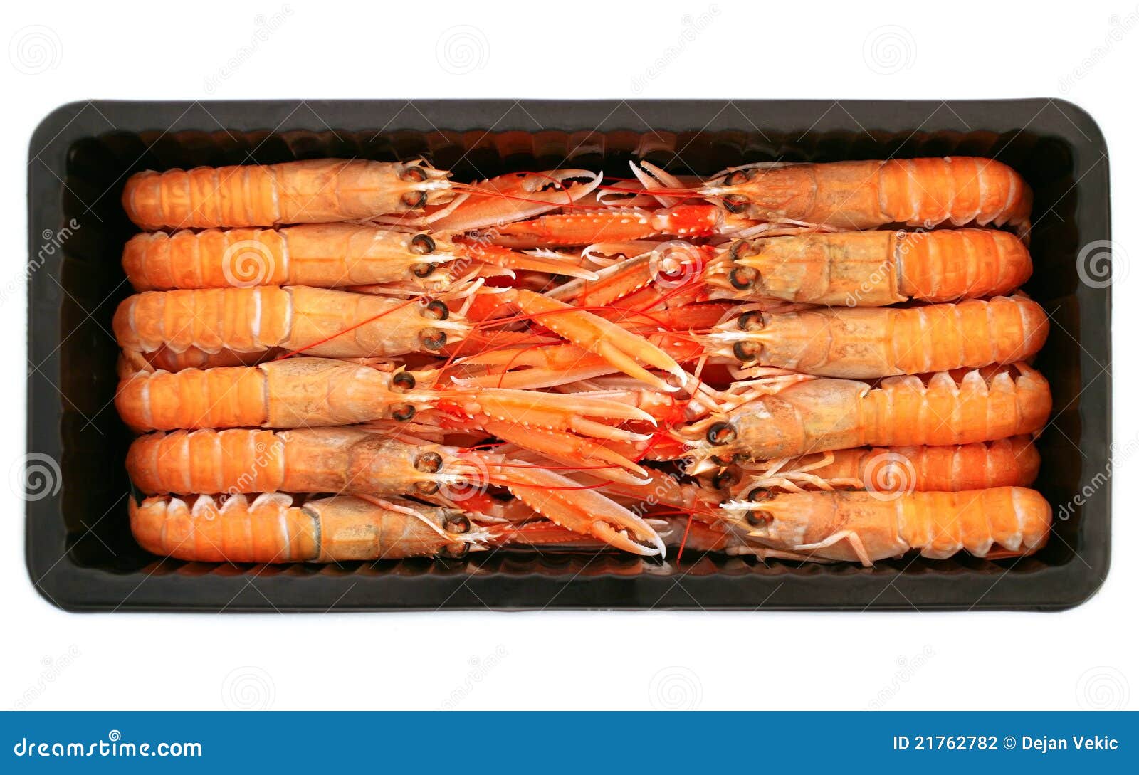 Garnele zdjęcie stock. Obraz złożonej z chwyt, deliciouses - 21762782