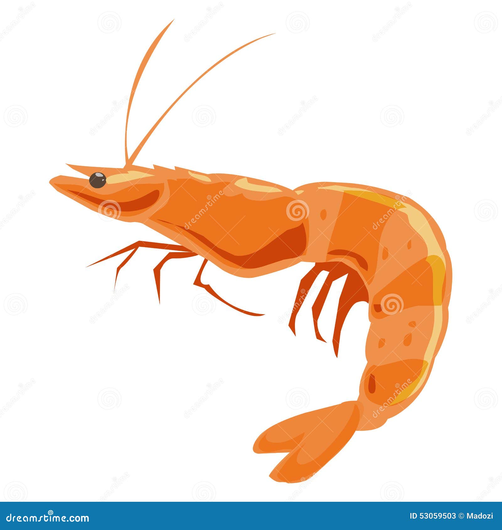 Garnele Lokalisierte Illustration Stock Abbildung - Illustration von ...