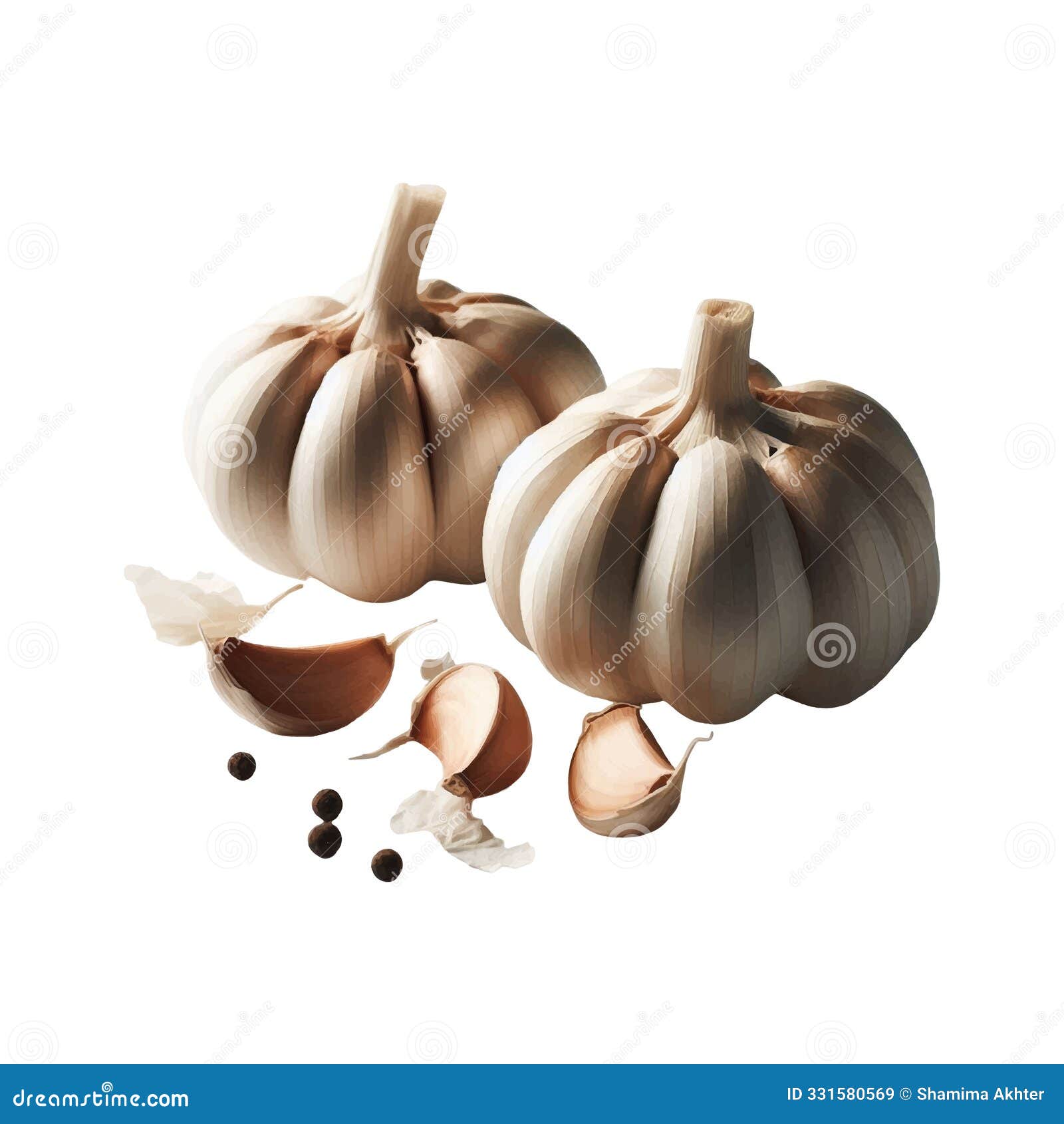 Garnier vector with spice stock illustration. Illustration of vegetable ...