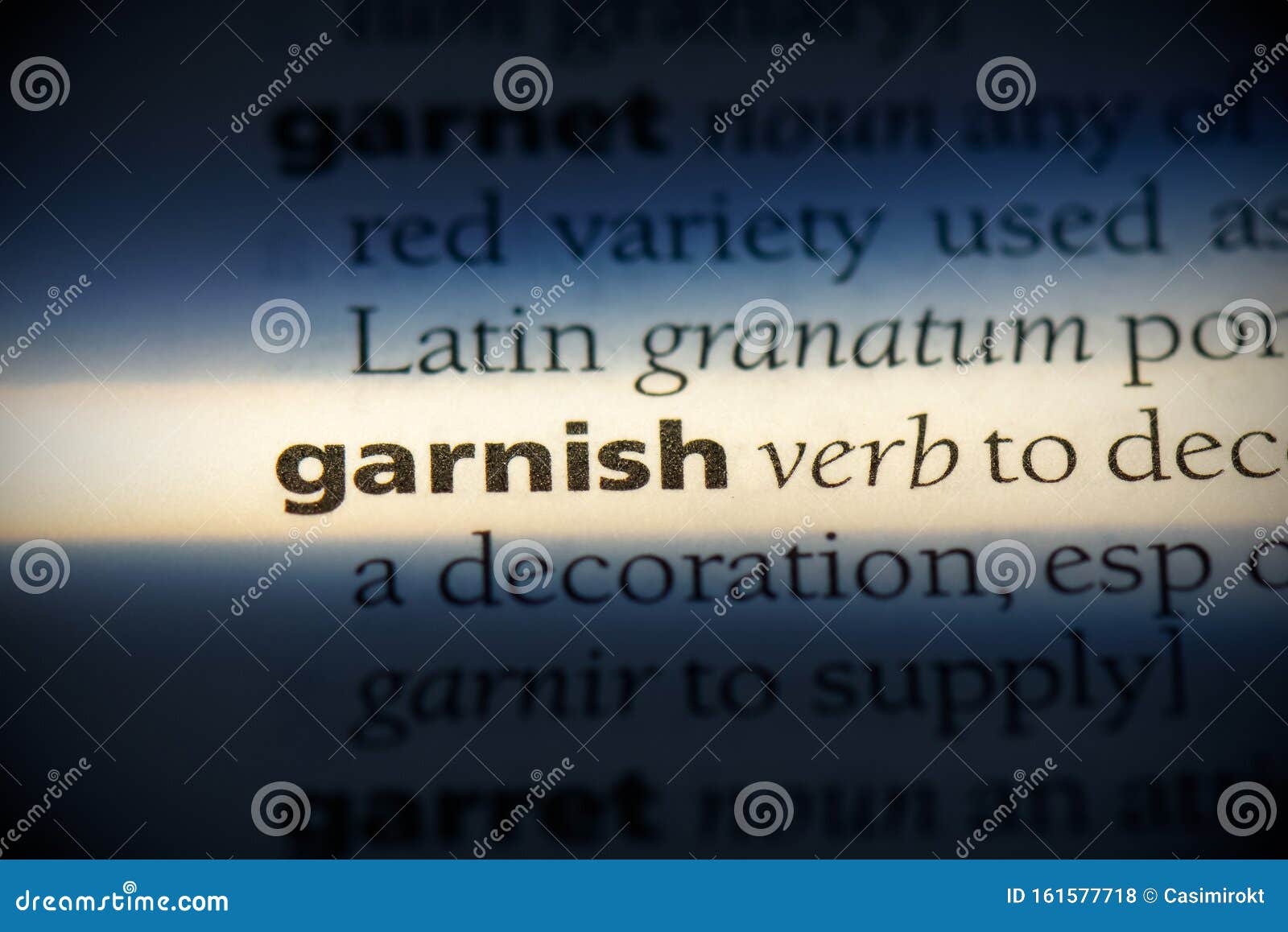 Garnish stock photo. Image of reference, definition - 161577718