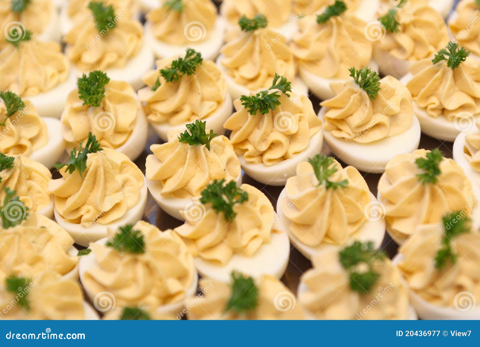 Garnished catered eggs stock image. Image of group, detail - 20436977