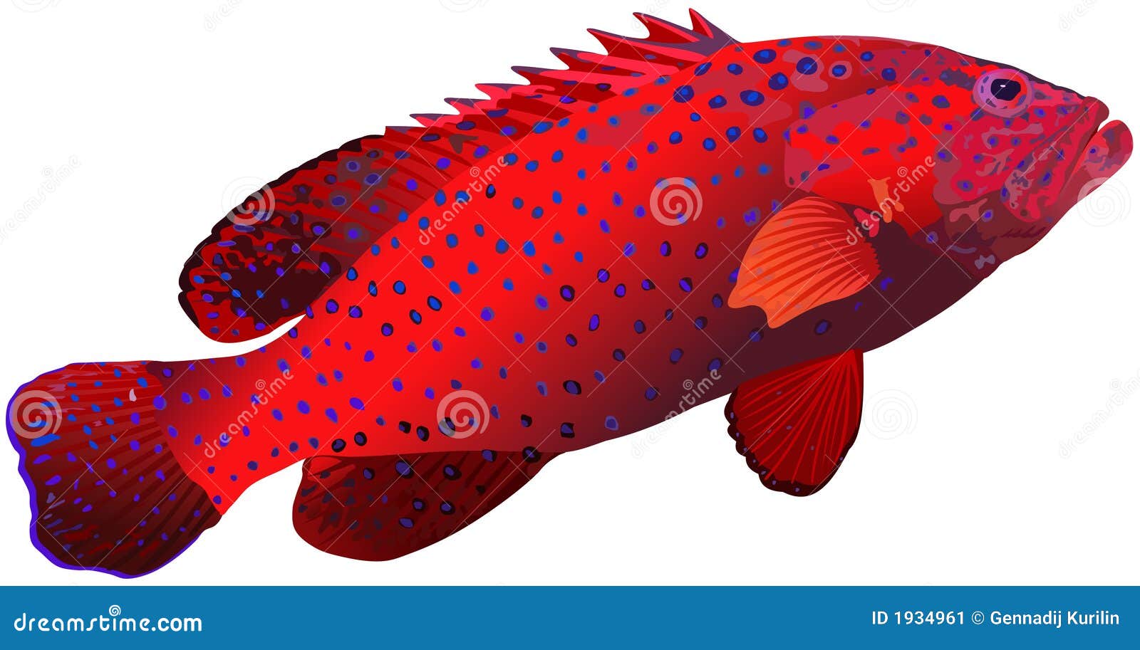 Garoupa coral ilustração do vetor. Ilustração de coral - 1934961