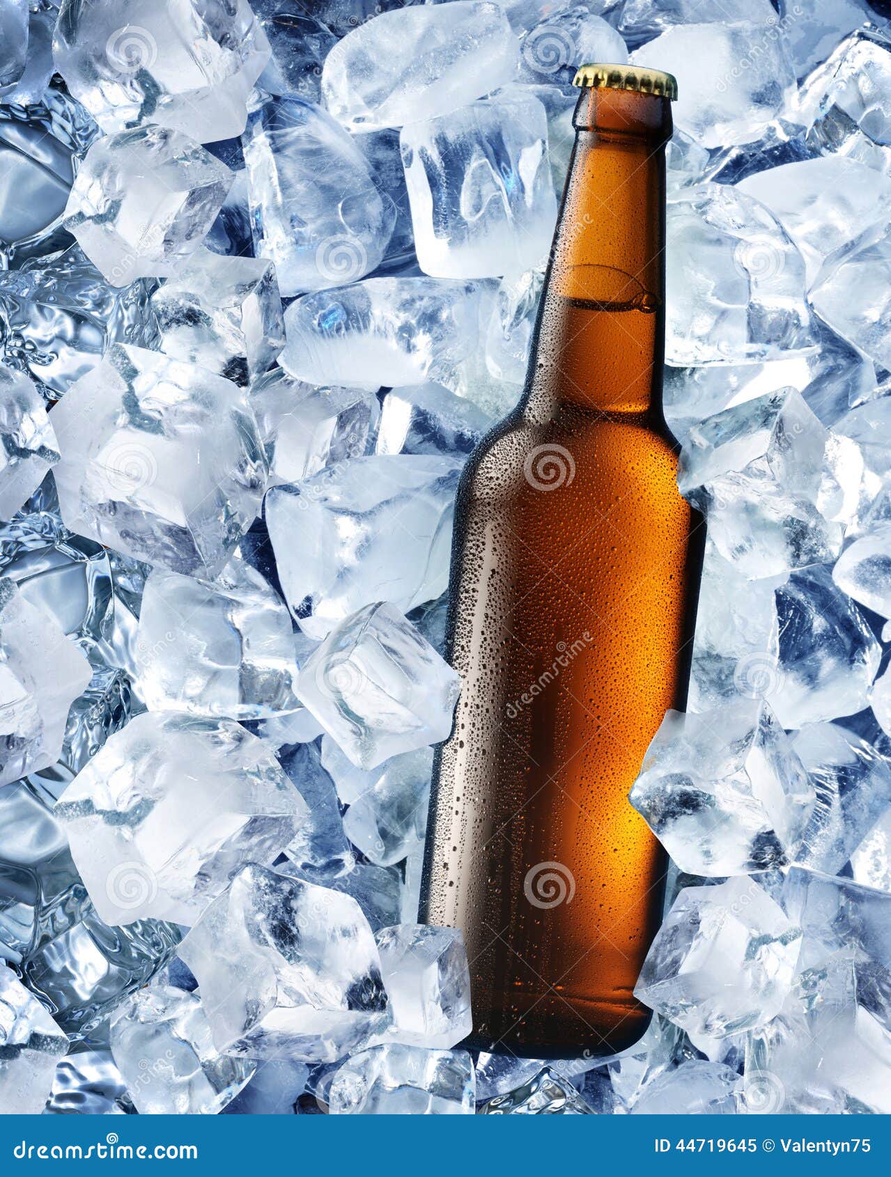 Garrafa Da Cerveja Em Cubos De Gelo Imagem de Stock - Imagem de marrom ...