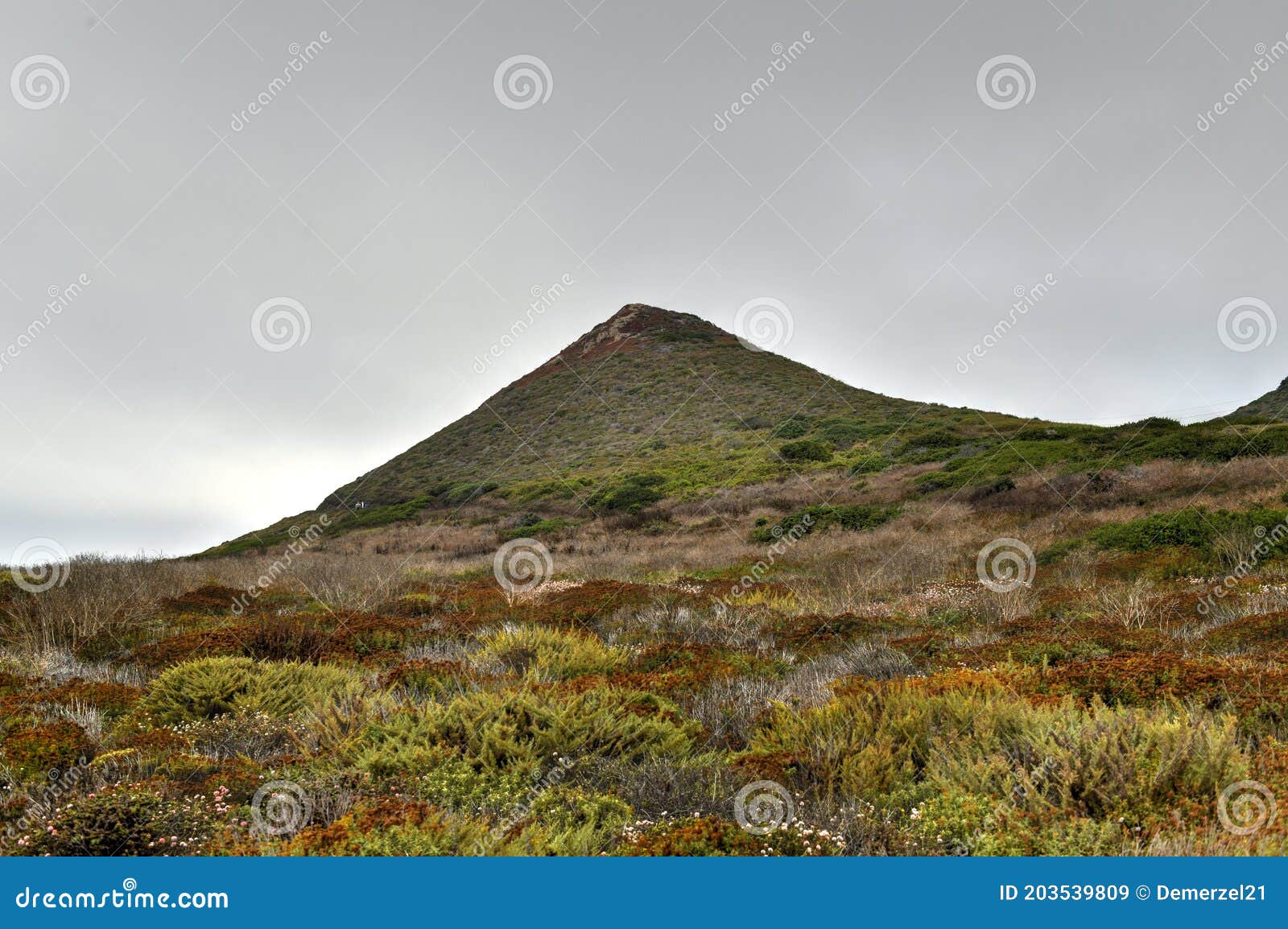 Garrapata State Park - California Stock Image - Image of overlook ...