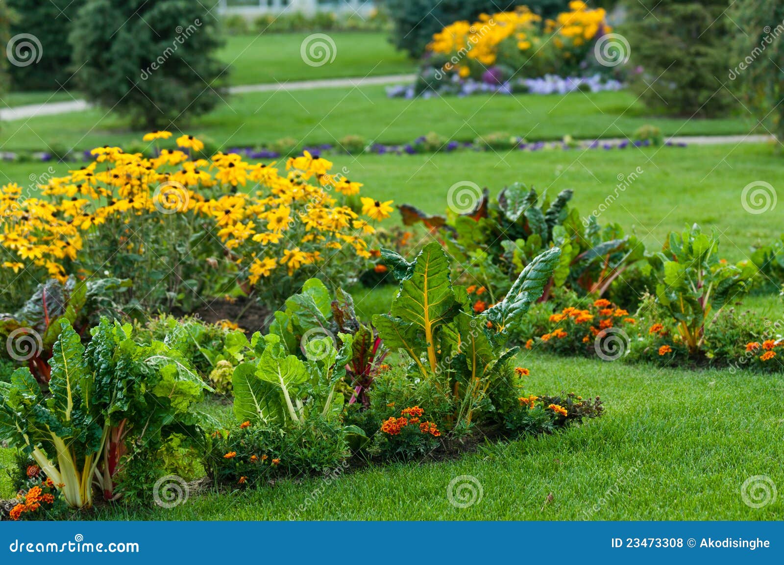 Garten Mit Gemüse Und Blumen Stockfoto - Bild von formell, rasen: 23473308