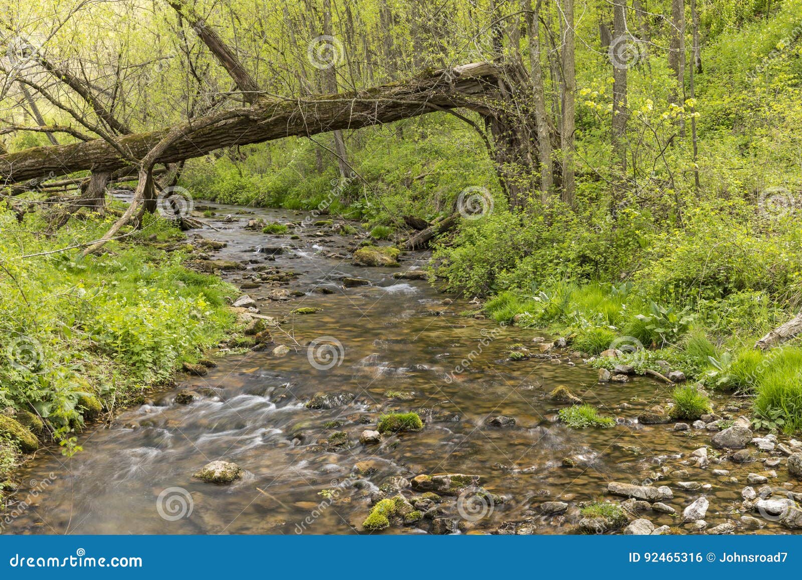 Garvin Brook in Spring stock photo. Image of hill, beauty - 92465316