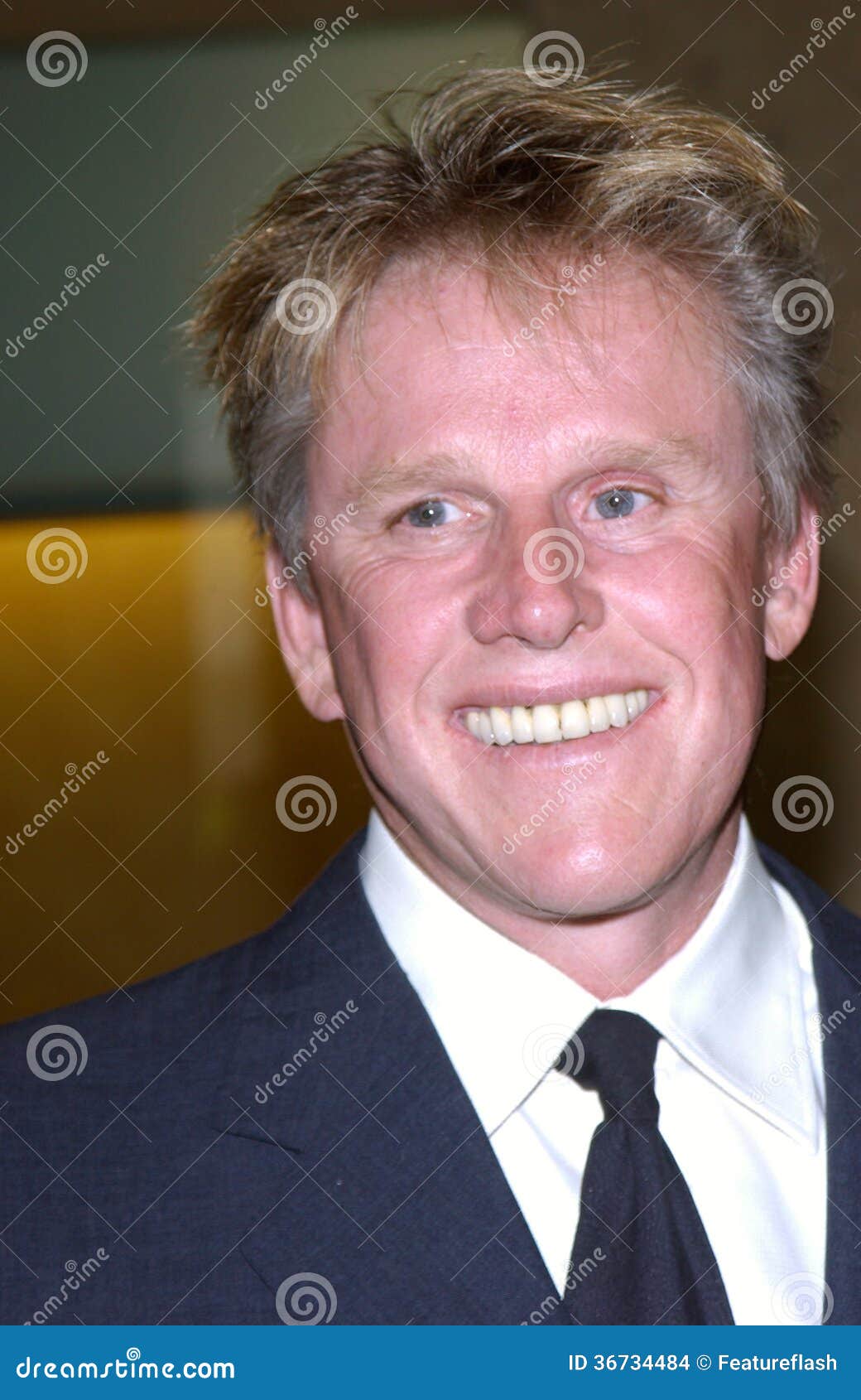 Gary Busey editorial stock image. Image of gala, 28jun2001 - 36734484