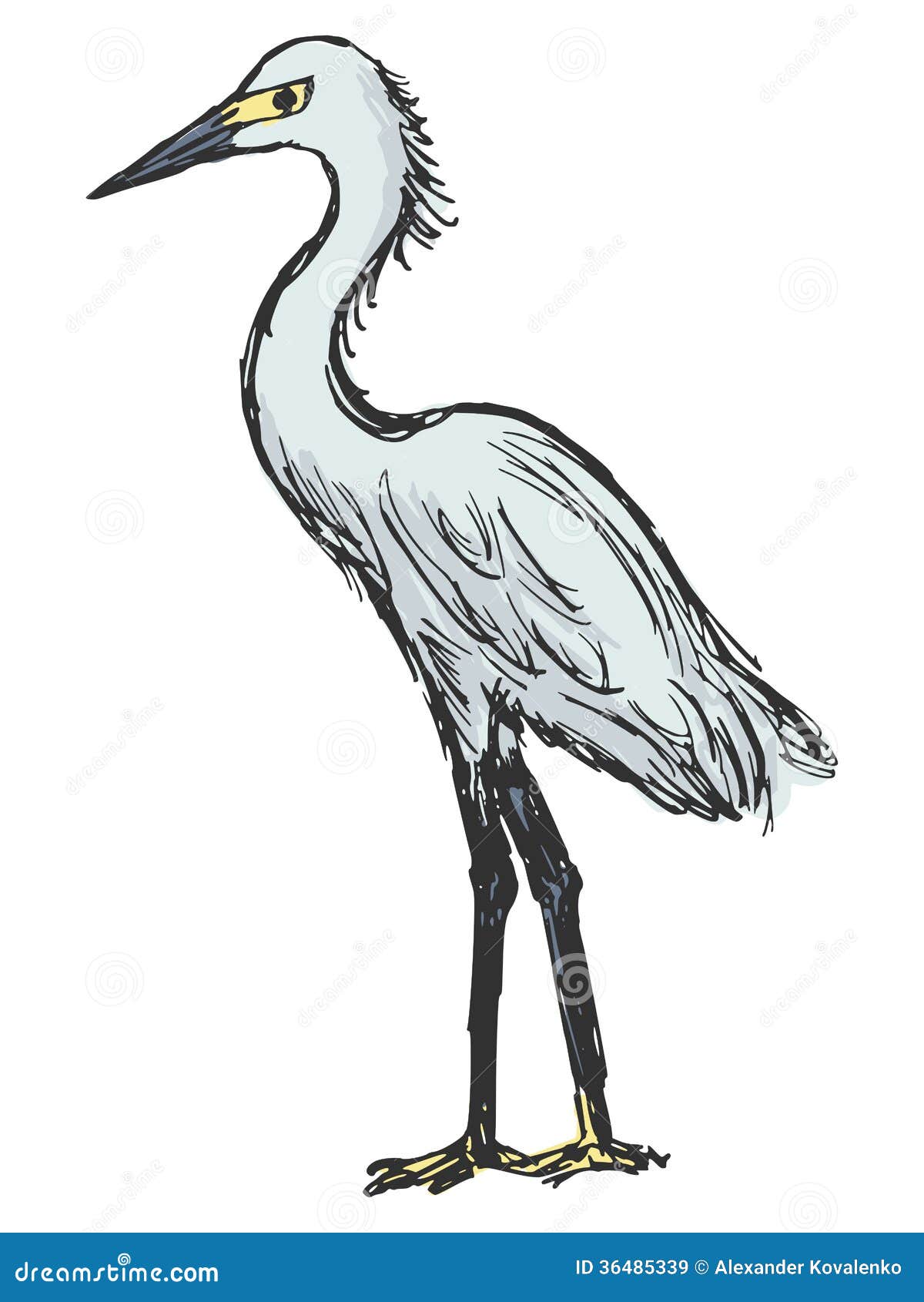 Garza ilustración del vector. Ilustración de trazado - 36485339