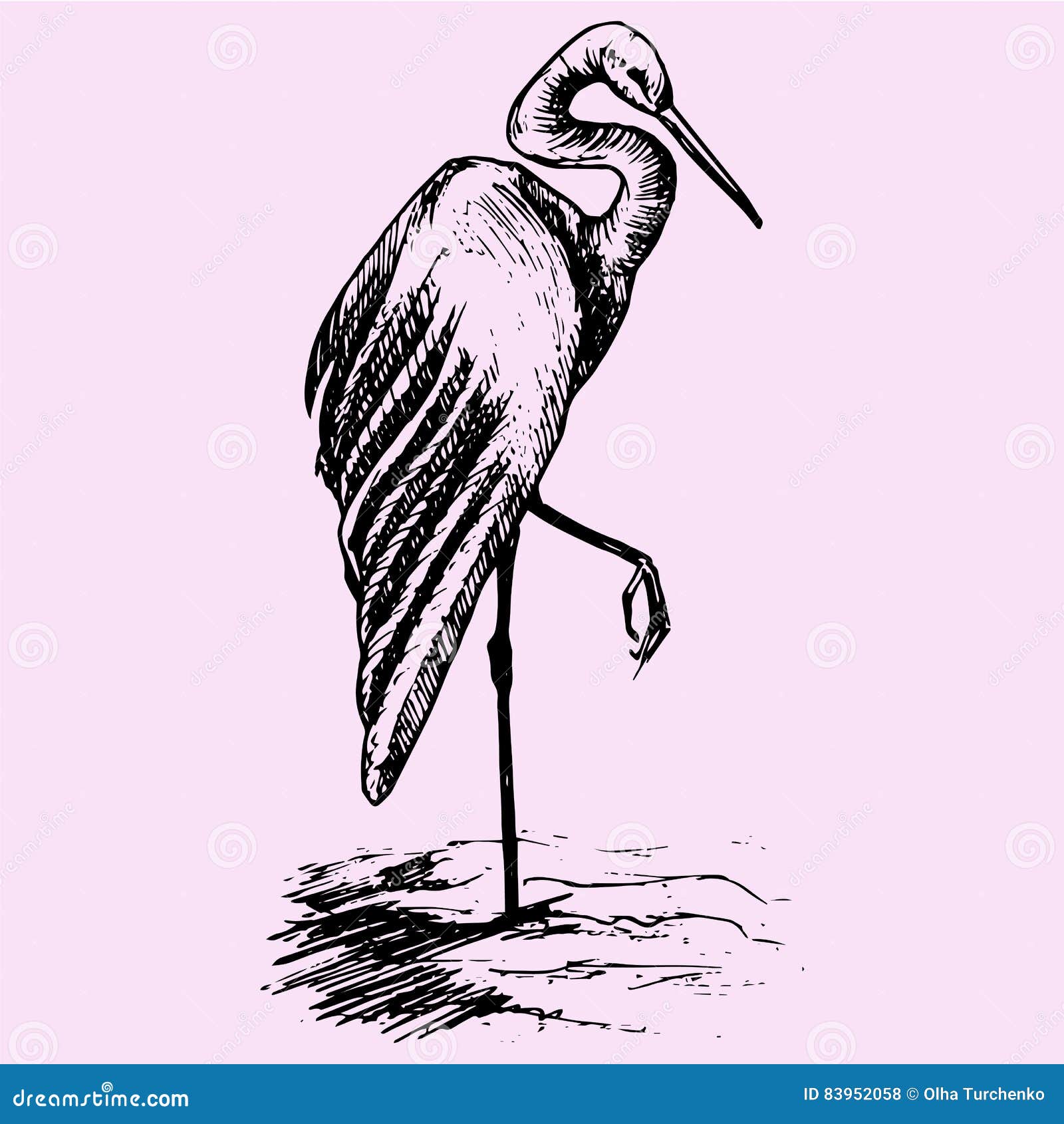 Garza ilustración del vector. Ilustración de cola, vida - 83952058