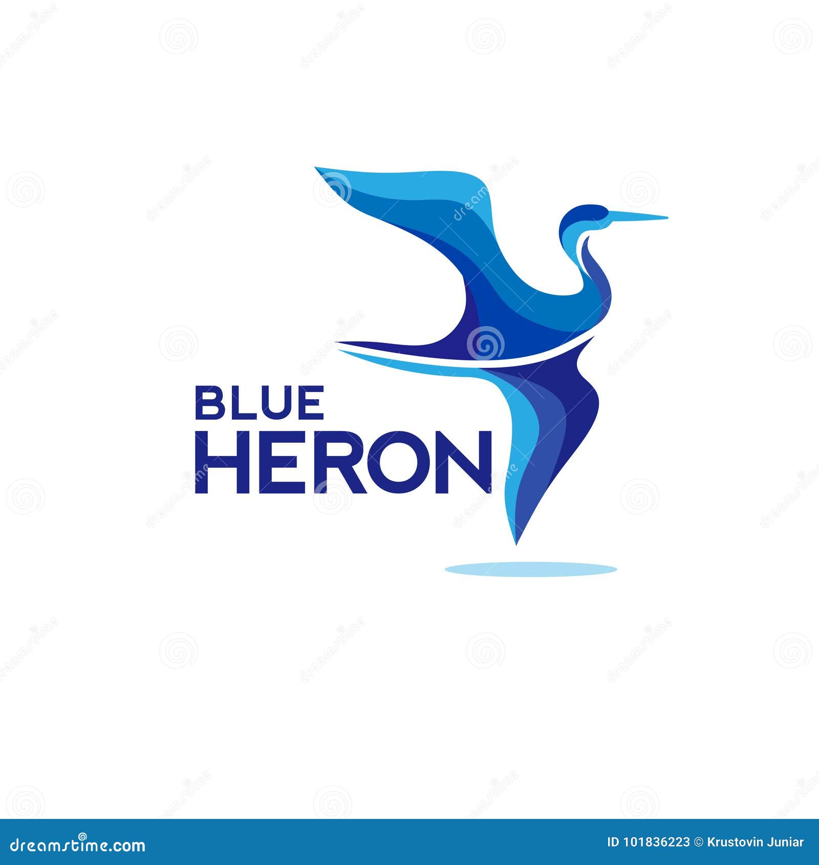 Garza azul que vuela ilustración del vector. Ilustración de hembra ...