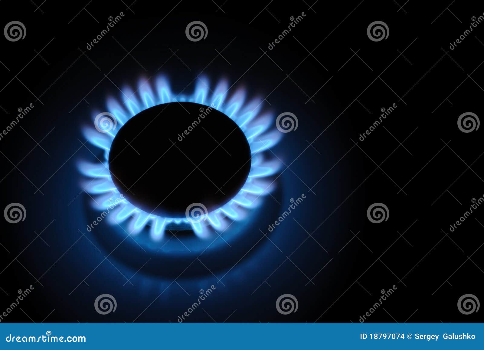 Gas stock photo. Image of appliance, food, costly, domestic - 18797074