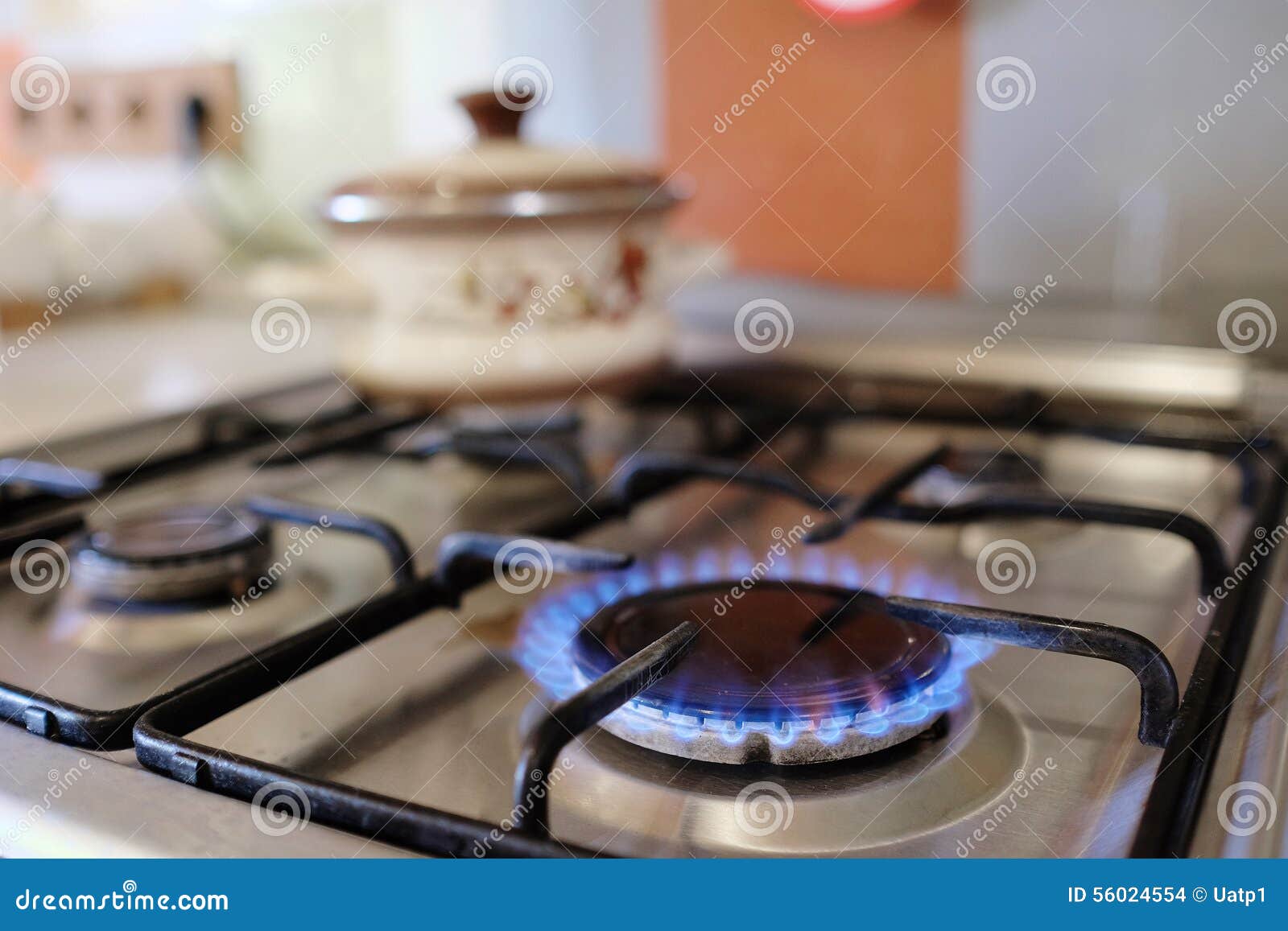 Gas burning stock photo. Image of flame, macro, kitchen - 56024554