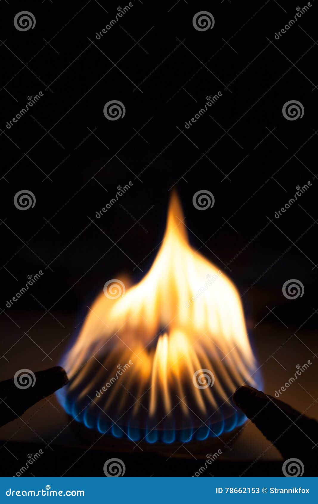 Gas Burns on the Burner on the Stove in the Dark. Stock Image - Image ...