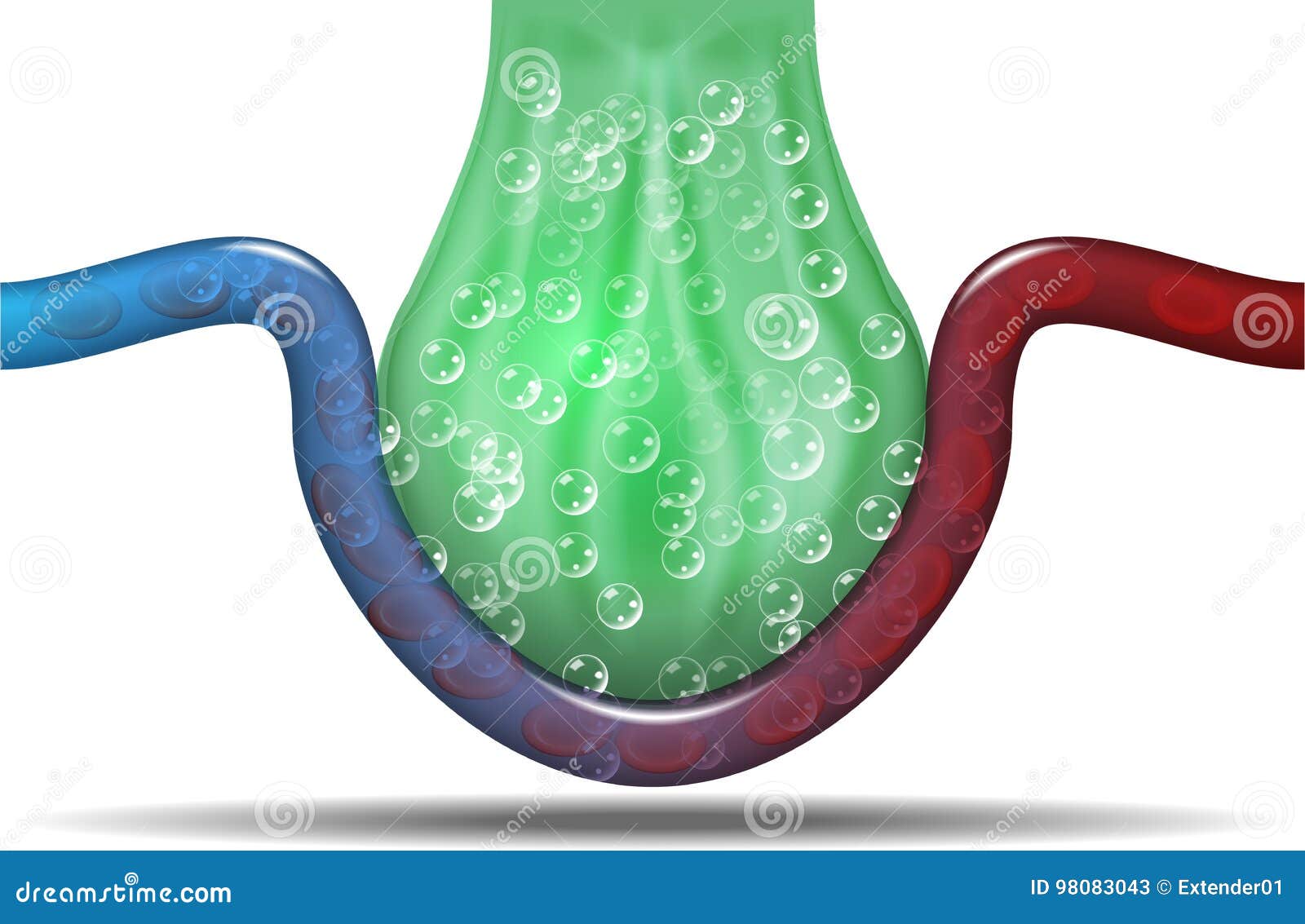 Capillary Diffusion Royalty-Free Stock Photo | CartoonDealer.com #46412781