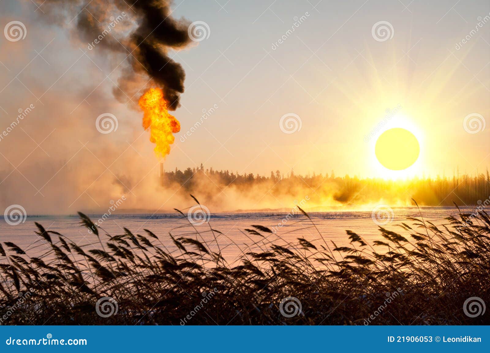 Gas flaring. stock image. Image of flame, nature, evaporation - 21906053