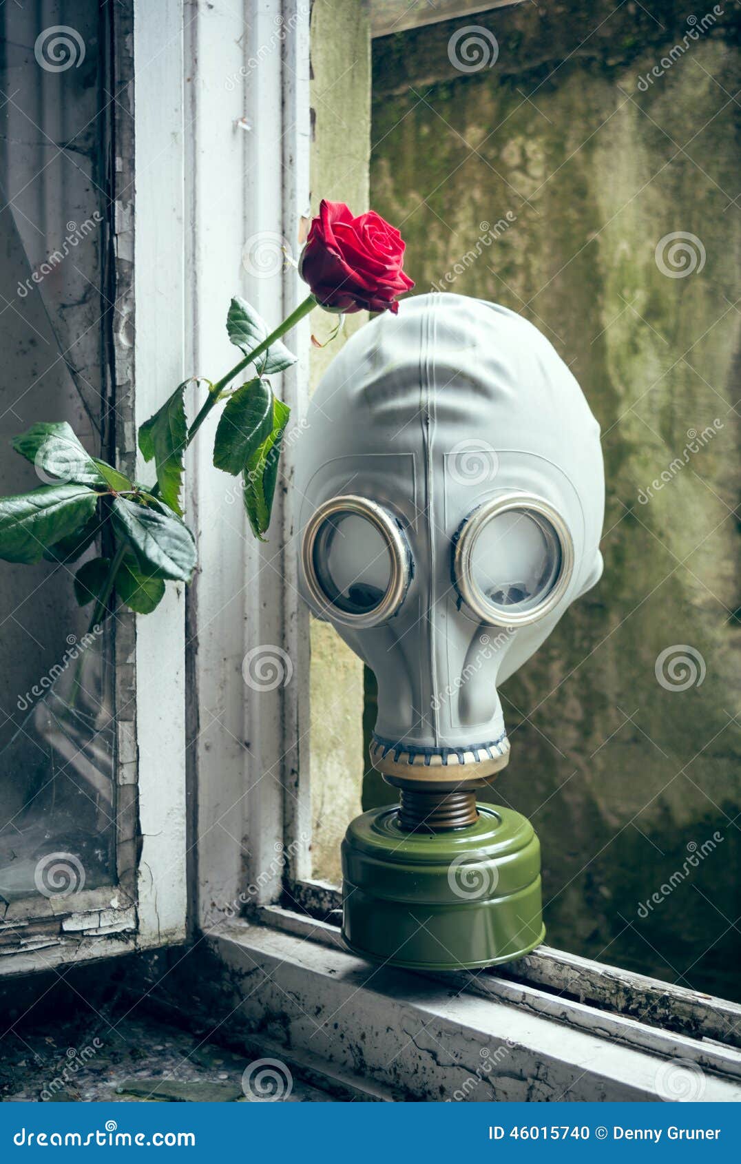 Gas Mask with Rose stock photo. Image of tribute, memories - 46015740