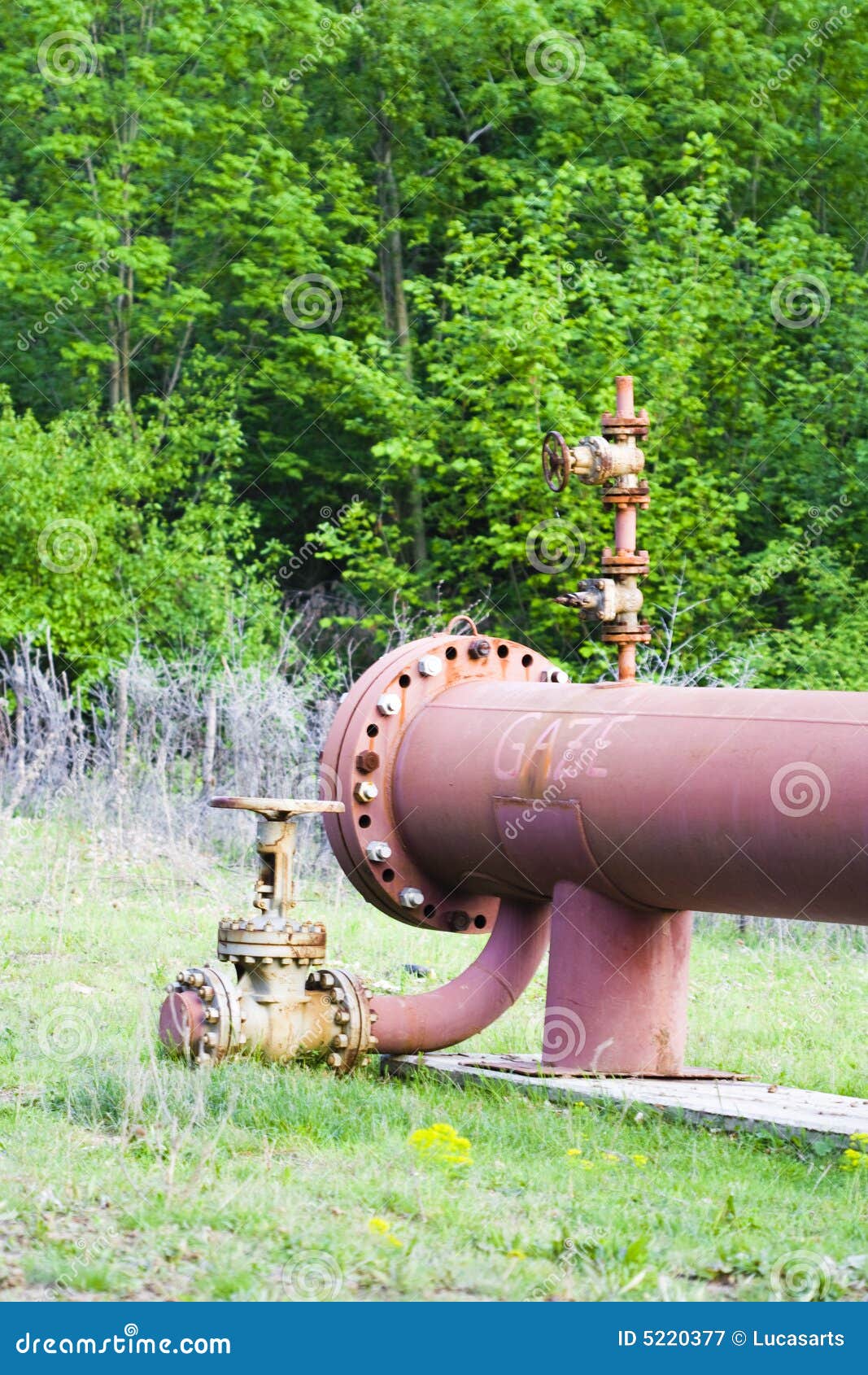 Gas pipe stock image. Image of fuel, front, plants, pipe - 5220377