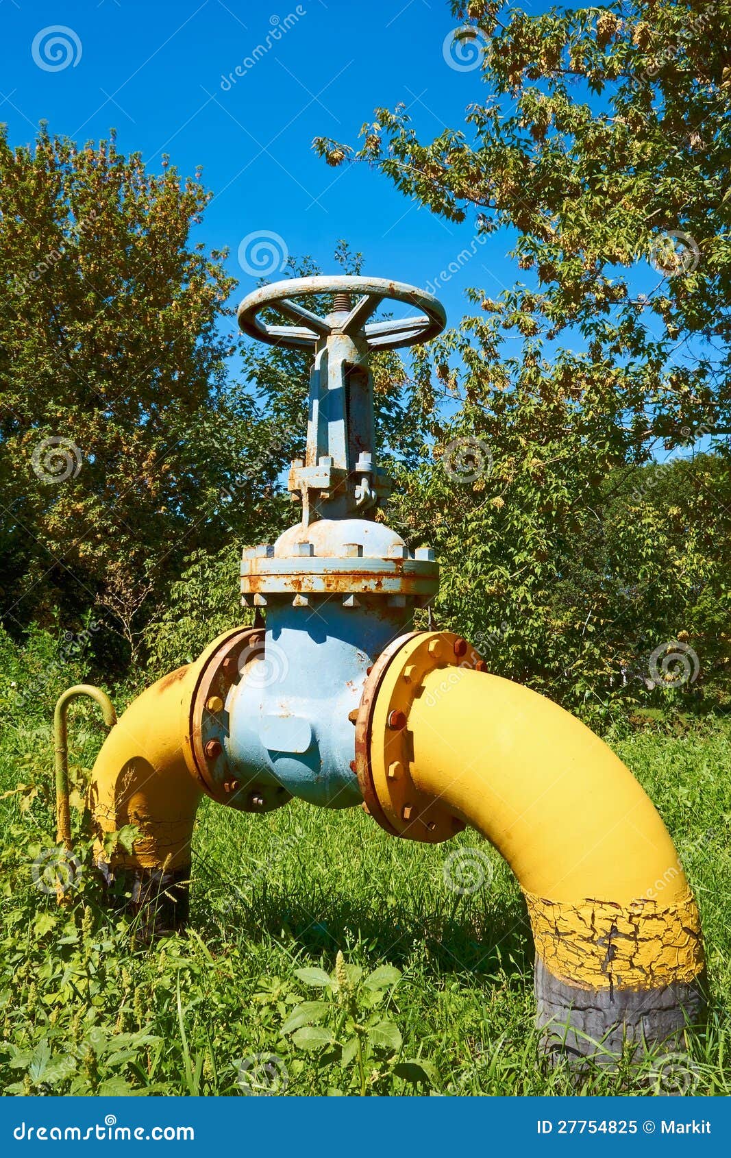 Gas Pipe with a Valve on a Green Lawn Stock Image - Image of connection ...