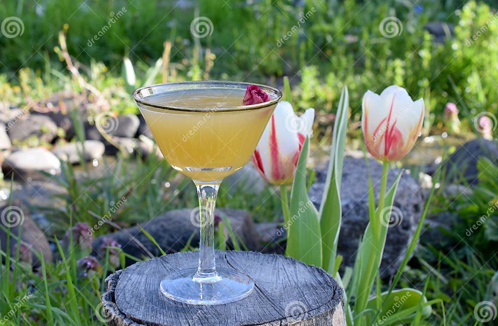 Gas Station Rose Gin 12 stock photo. Image of alcoholic - 203621264