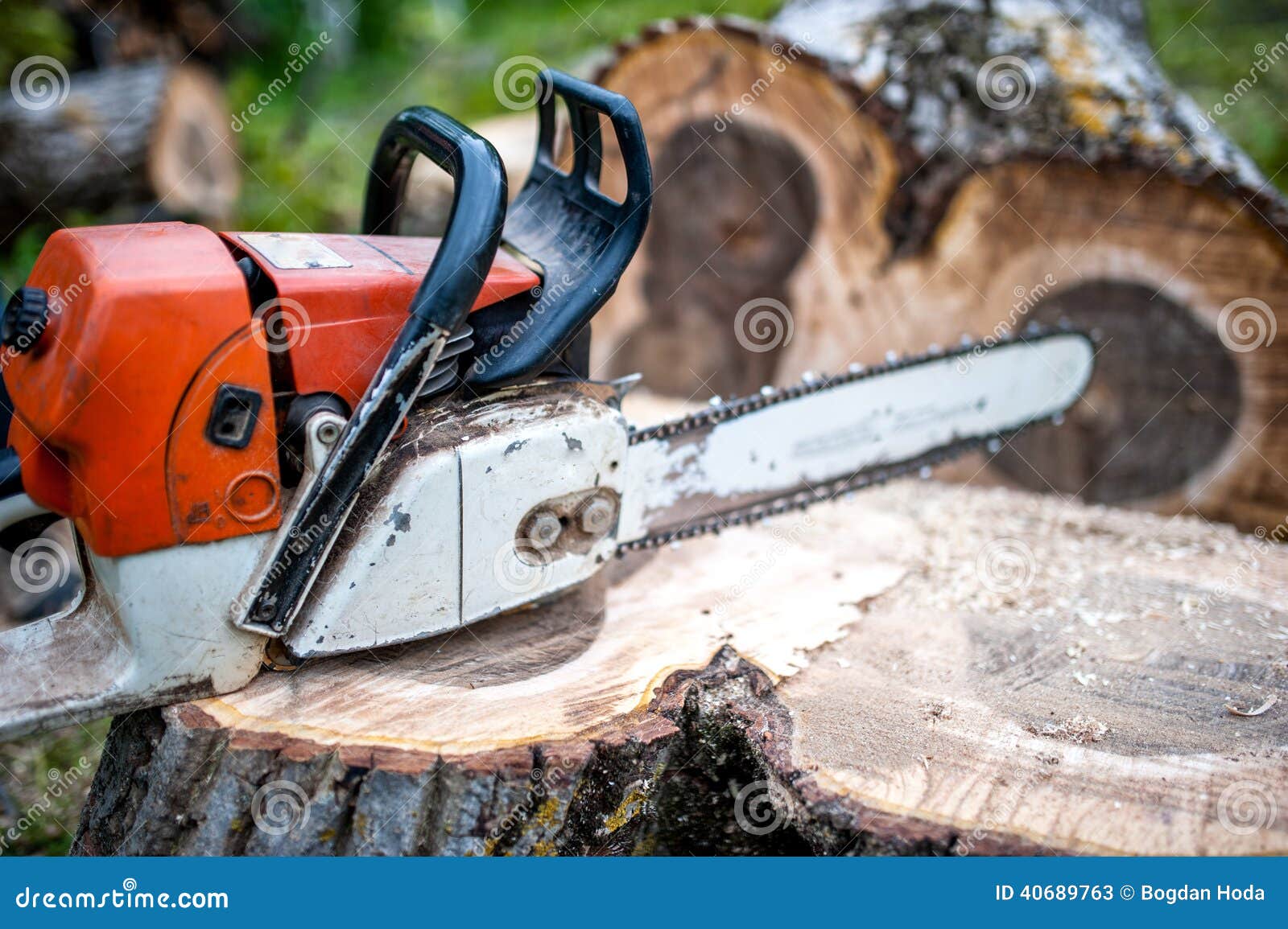 Gasoline Powered Professional Chainsaw on Pile of Cut Wood Stock Image ...