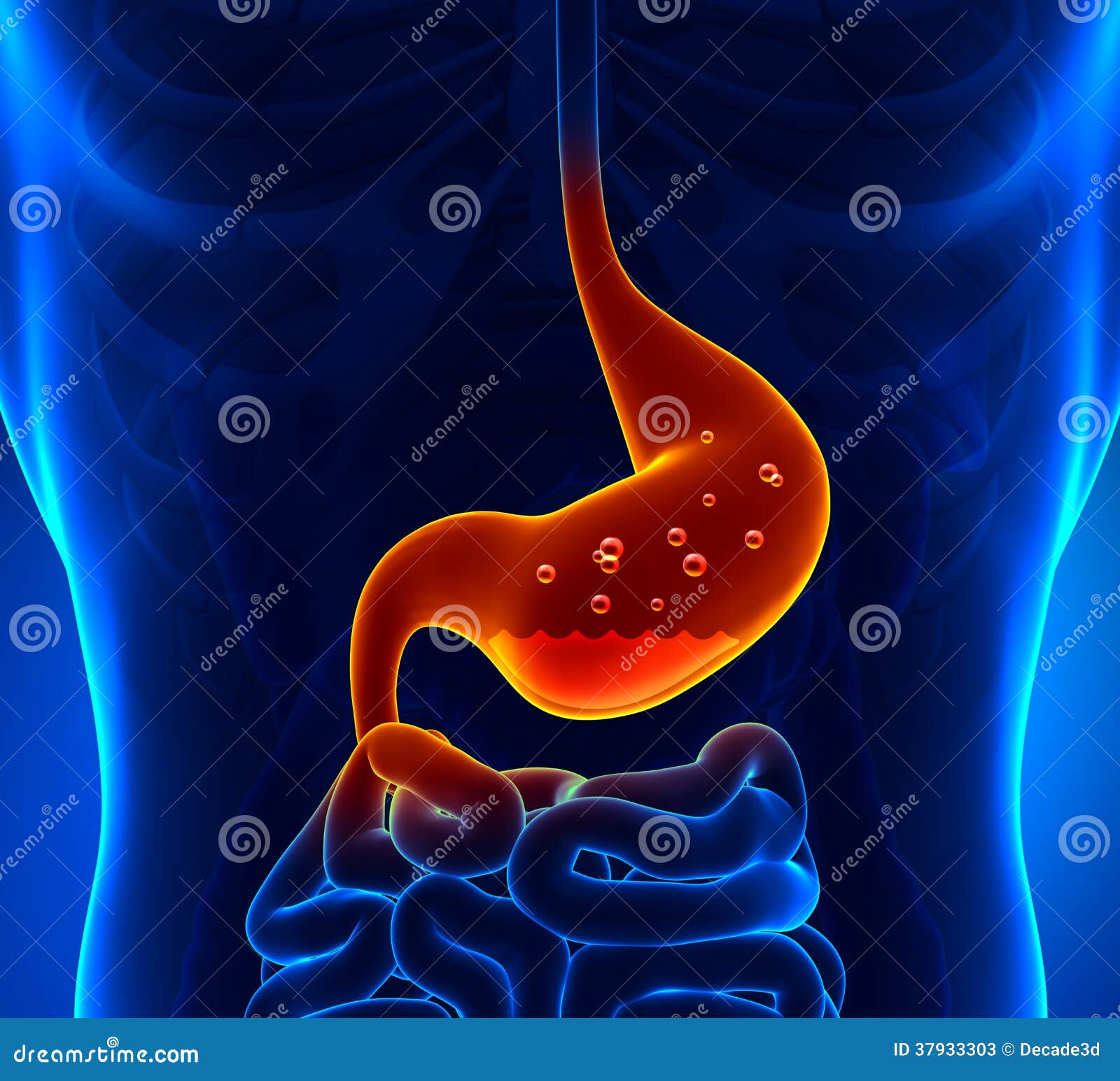 Stomach Acidity Cartoon Vector | CartoonDealer.com #9749339