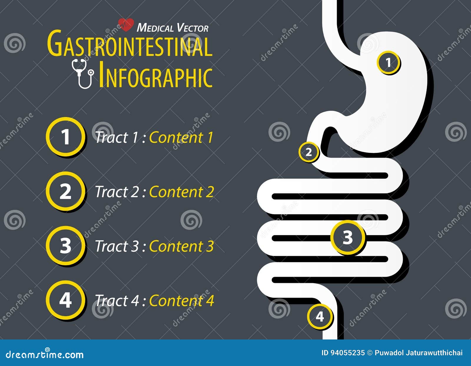 Gastrointestinal Infographic . Flat Design Stock Vector - Illustration ...