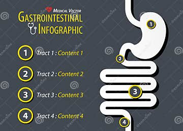 Gastrointestinal Infographic . Flat Design Stock Vector - Illustration ...