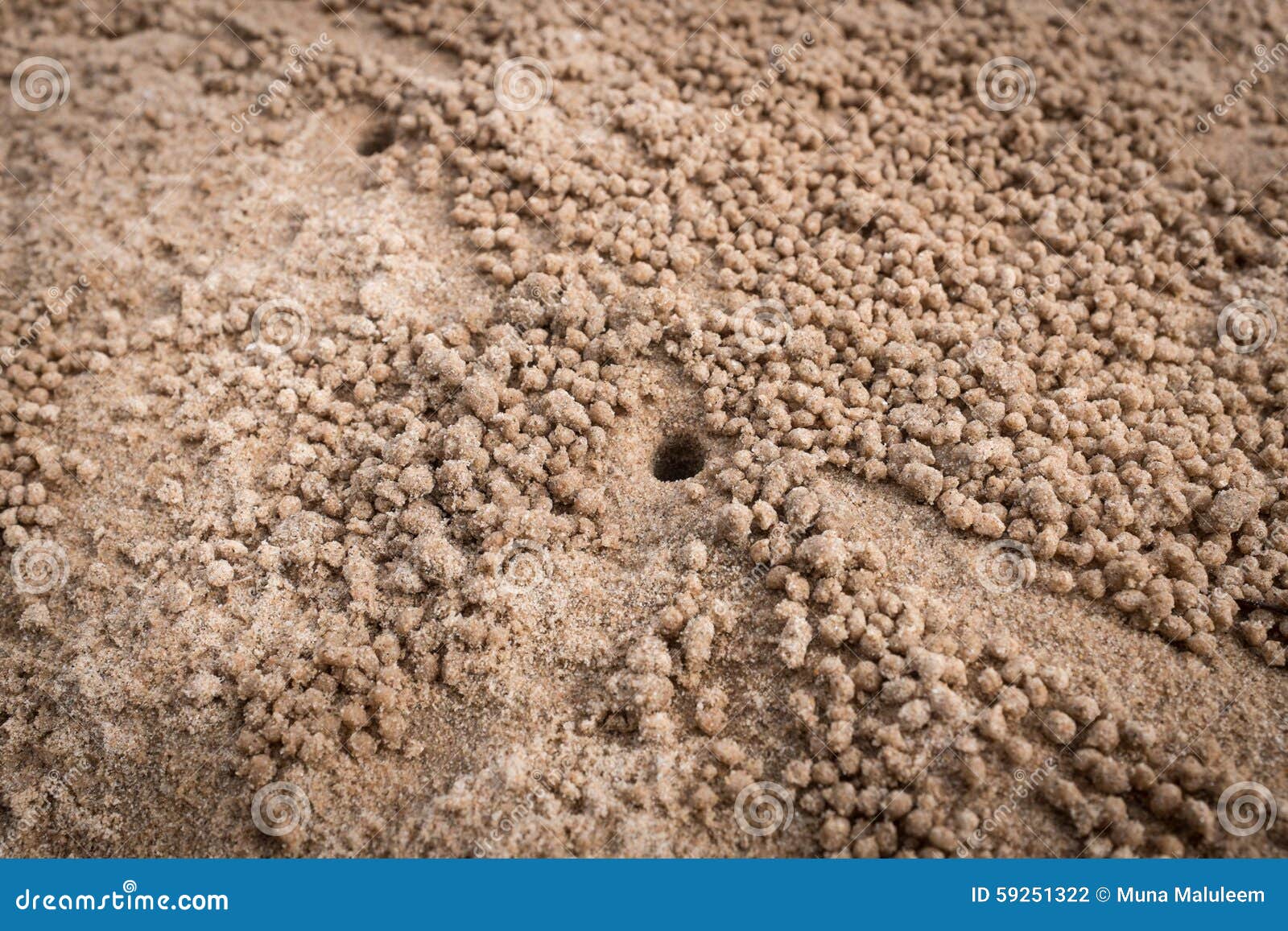 Gat van zand op strand stock foto. Image of achtergrond - 59251322