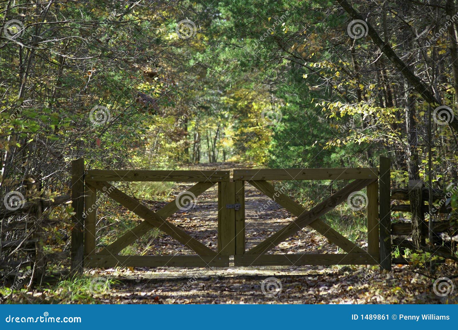 Gate stock image. Image of driveway, locked, path, road - 1489861