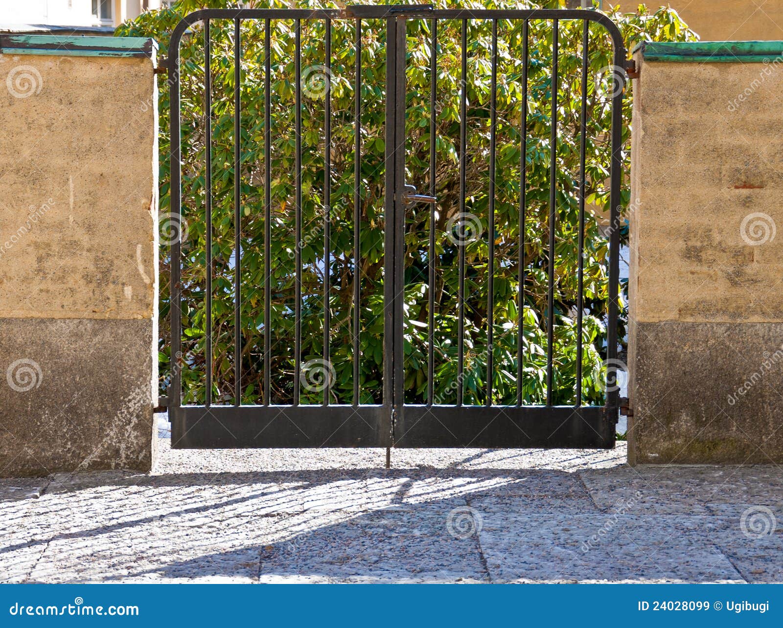 The gate stock image. Image of door, gate, green, bush - 24028099