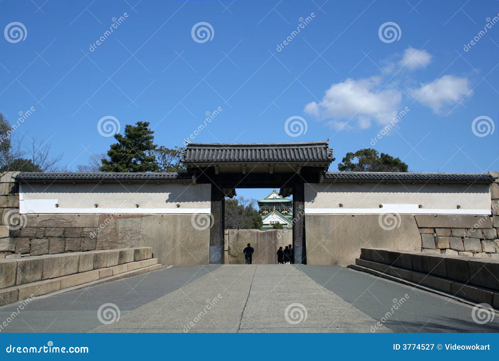 Gate stock image. Image of elegant, background, entrance - 3774527